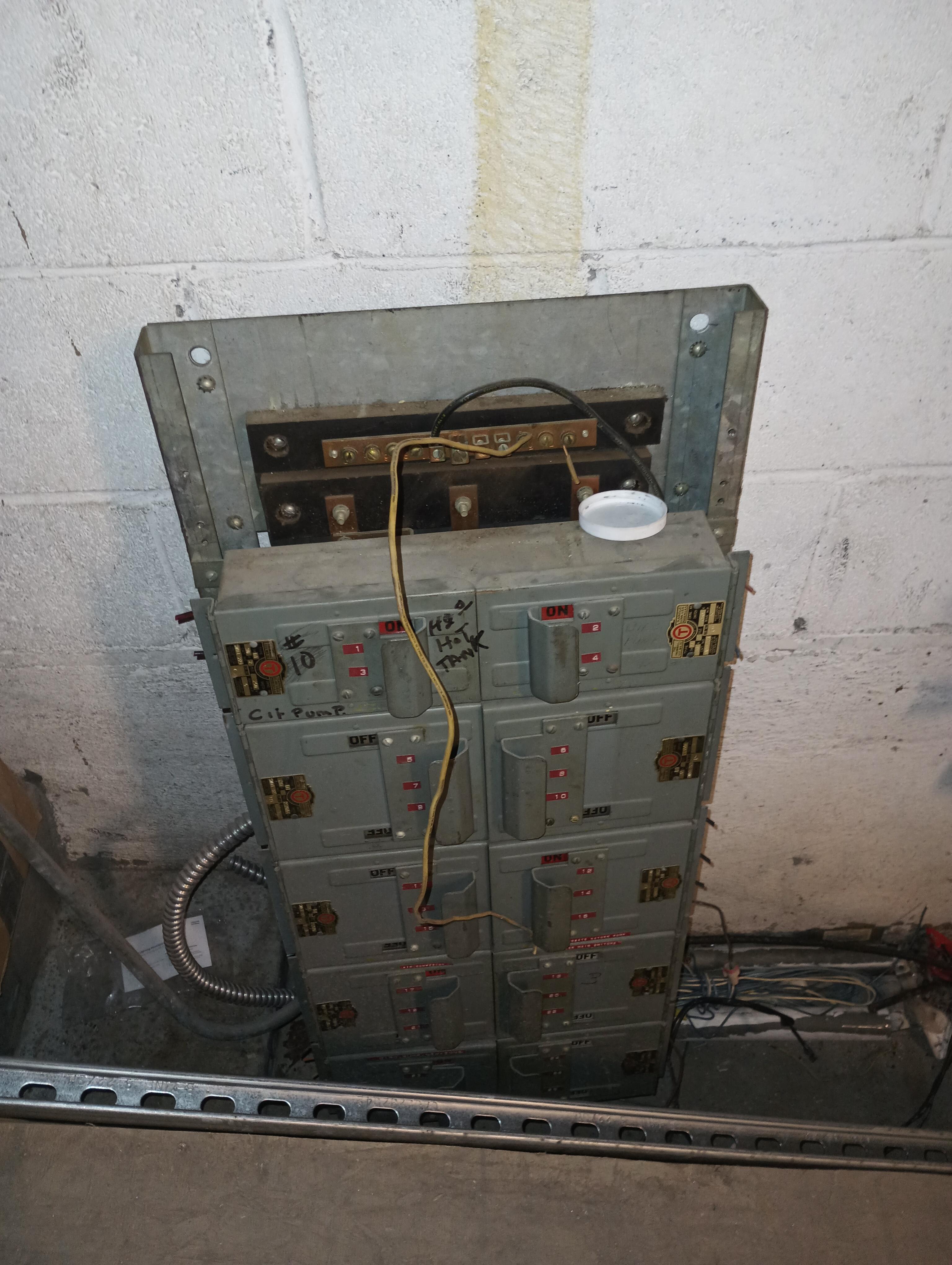 Some old guts | Scrolller