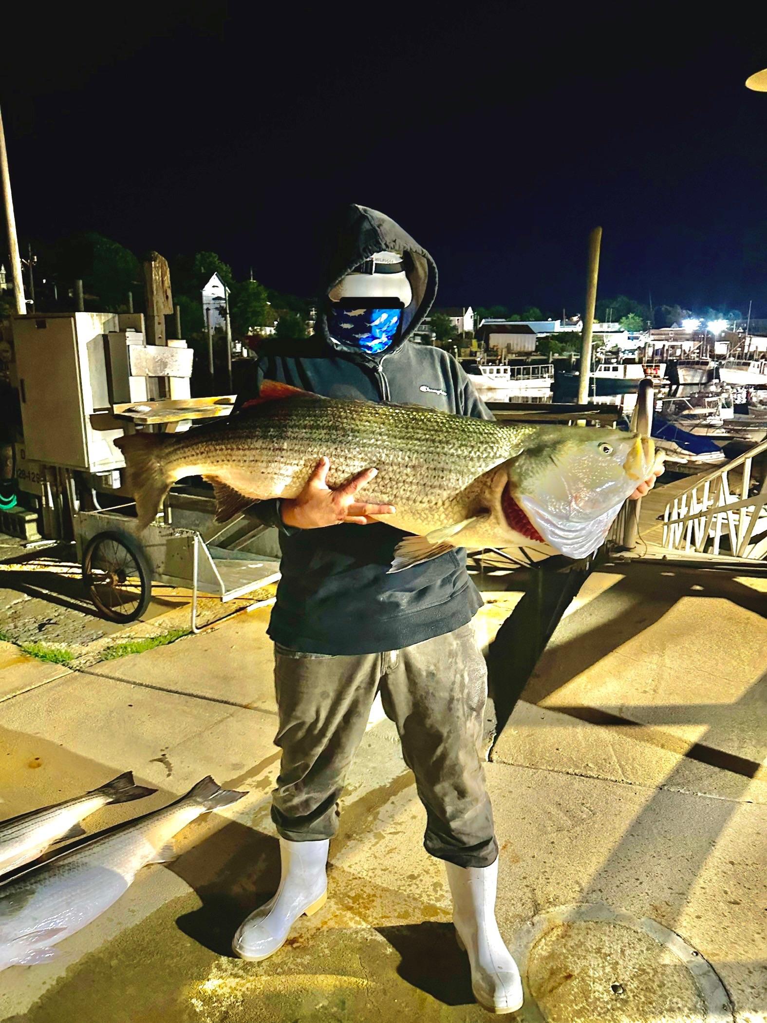 Pb Striper Scrolller