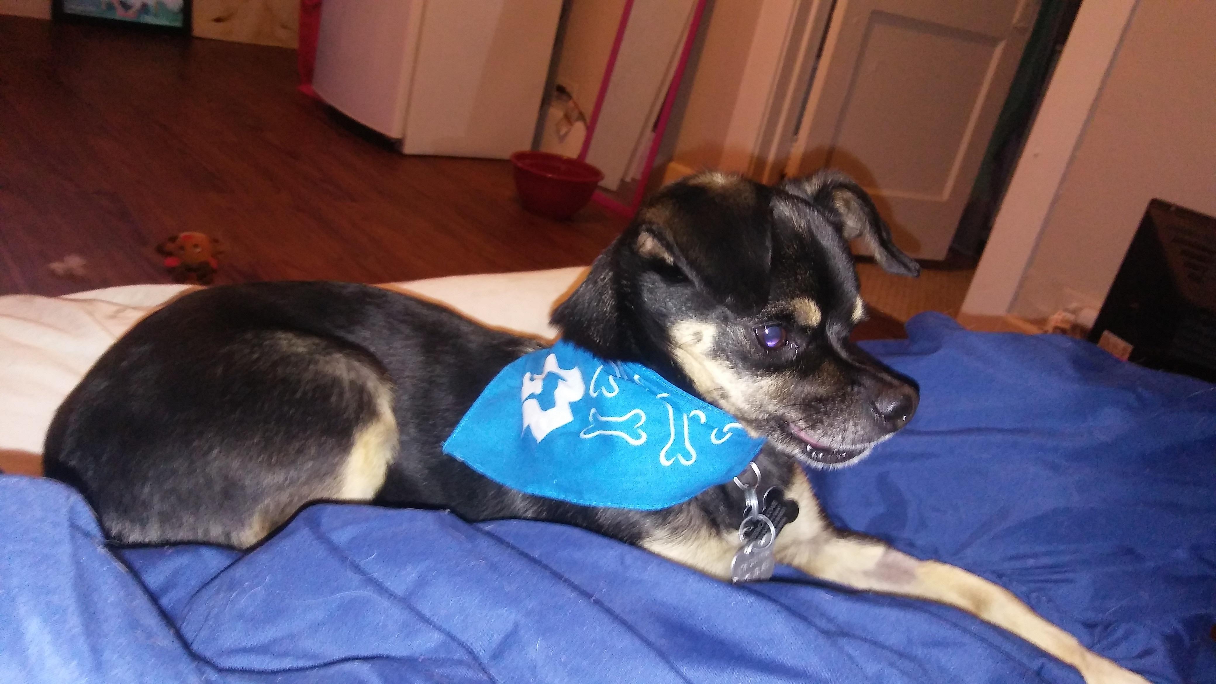 Prayers for Deuce ️ | Scrolller