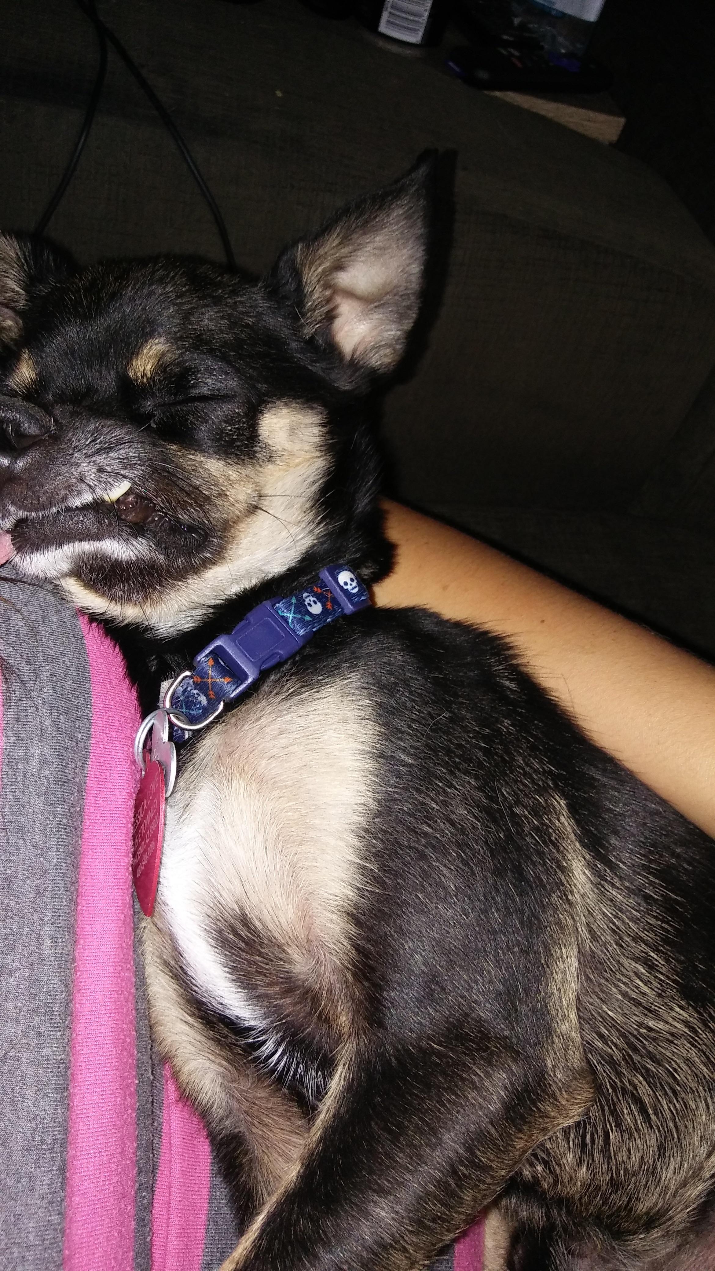 Prayers for Deuce ️ | Scrolller