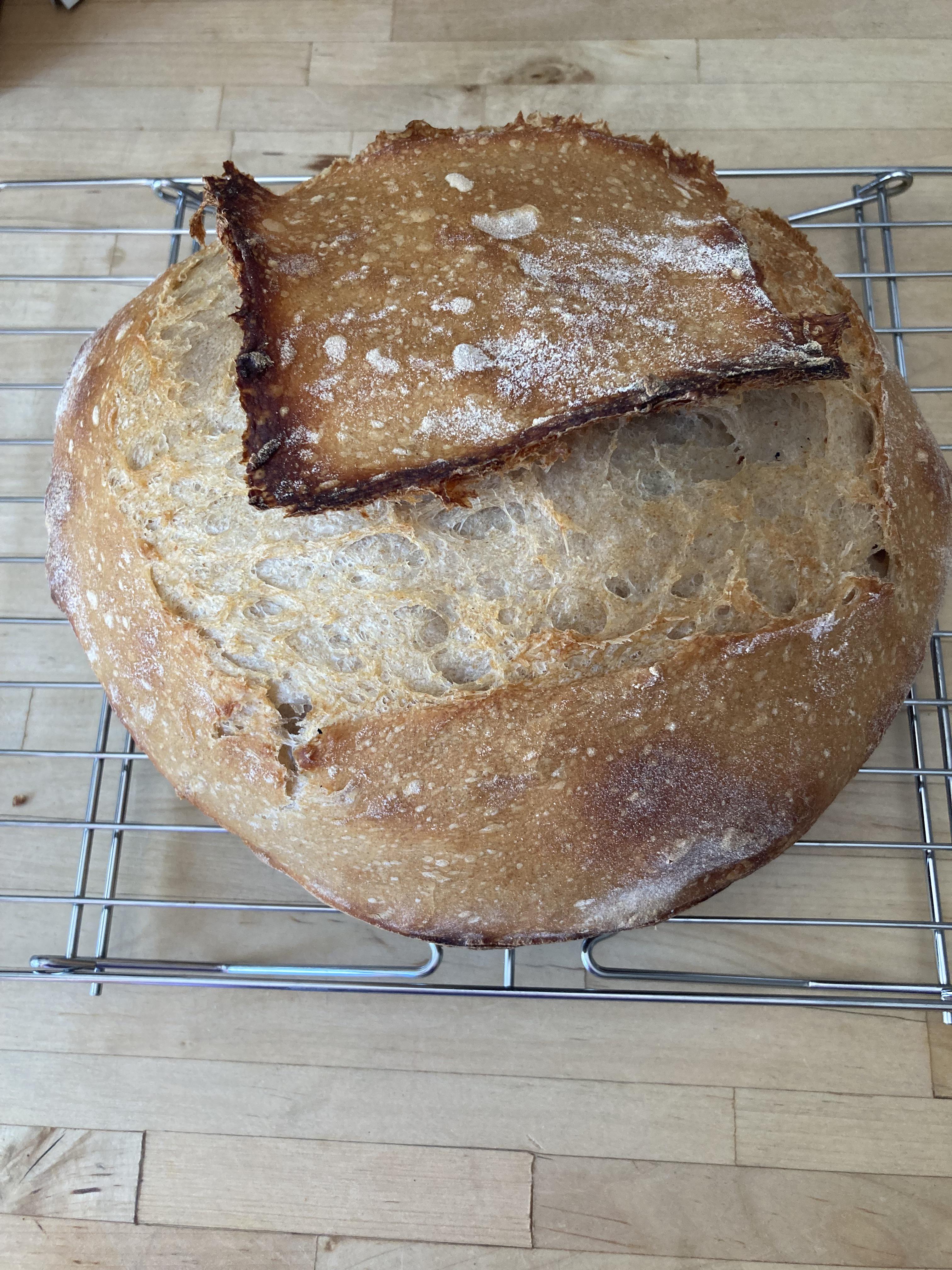 Discover more like Breadit: Revived my sourdough starter and renamed it Lazarus 😂 and Related ...