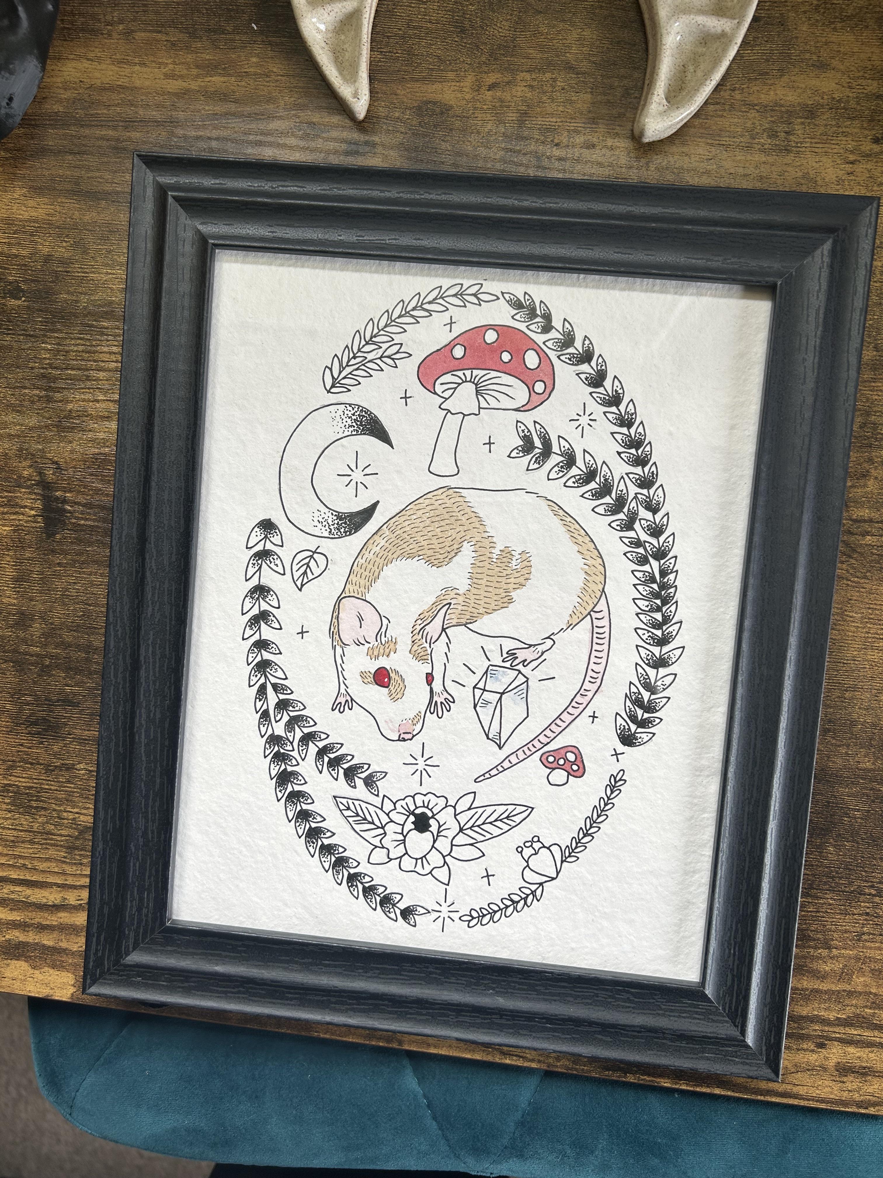 Finished | Scrolller