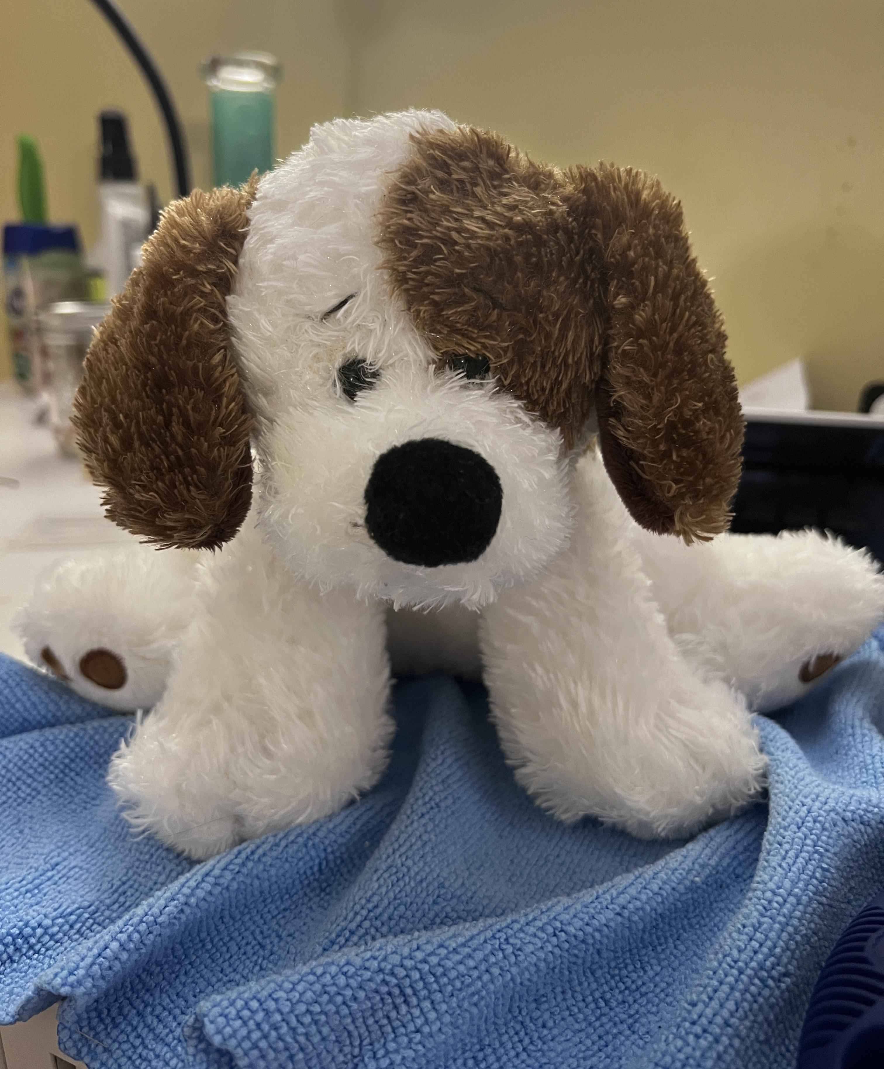 A successful operation | Scrolller