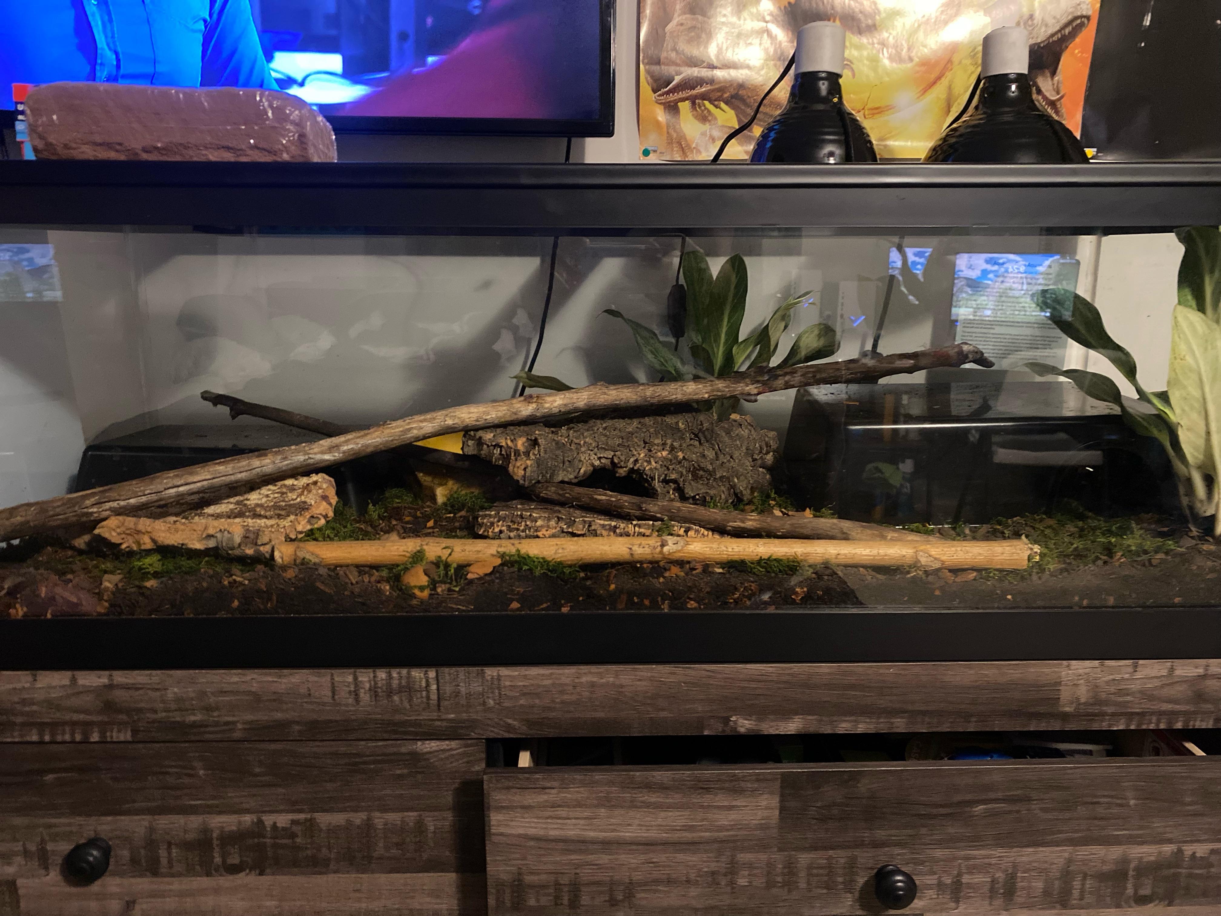 Bioactive | Scrolller