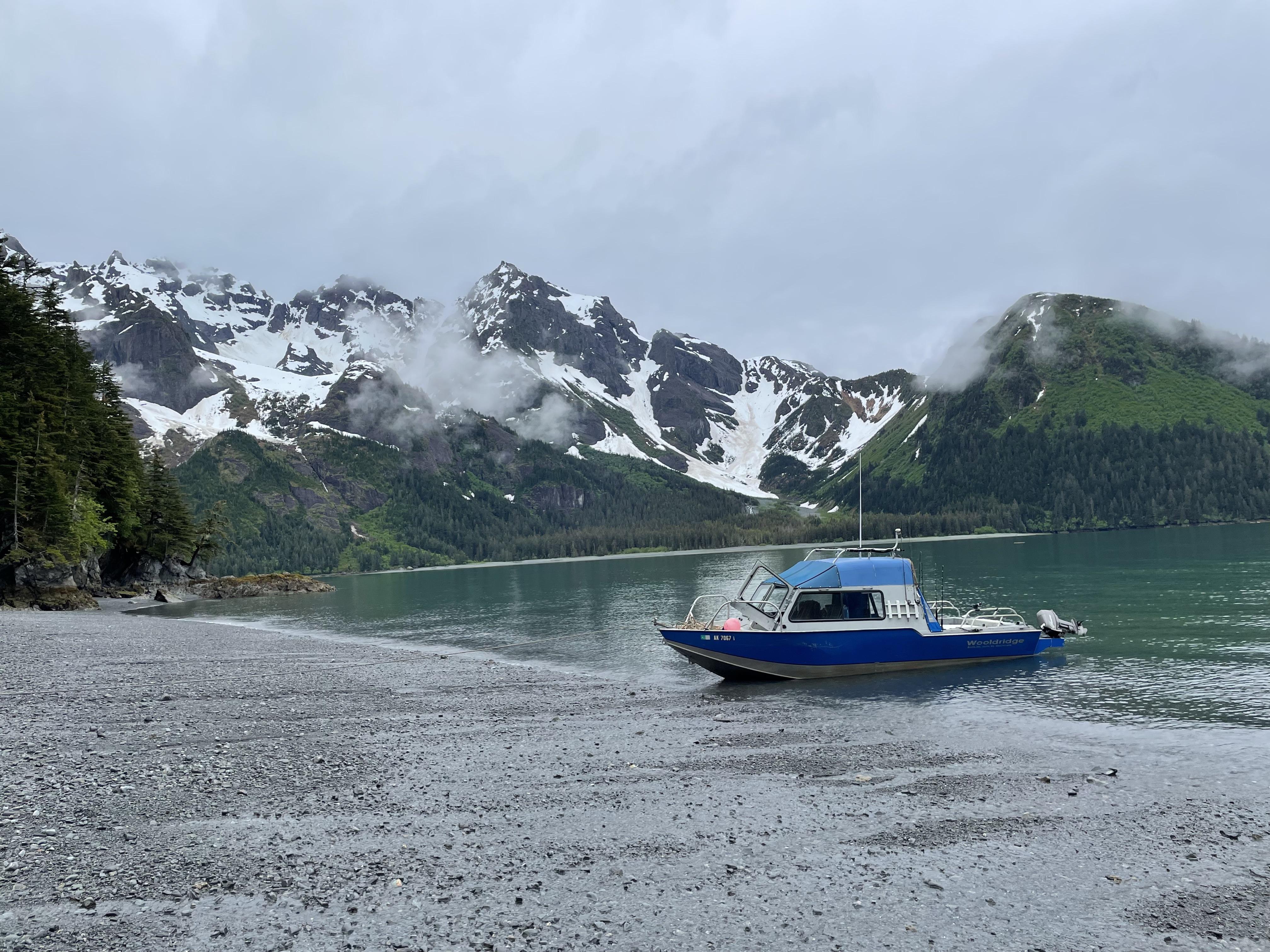 Summertime Dreams | Scrolller