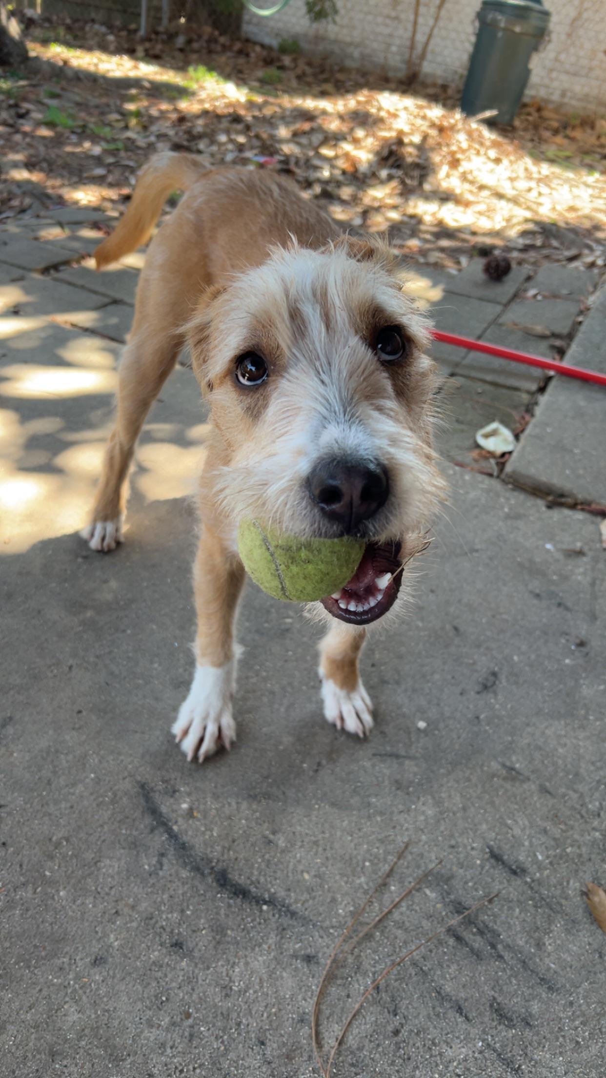 Almost 3 months with Ruby | Scrolller