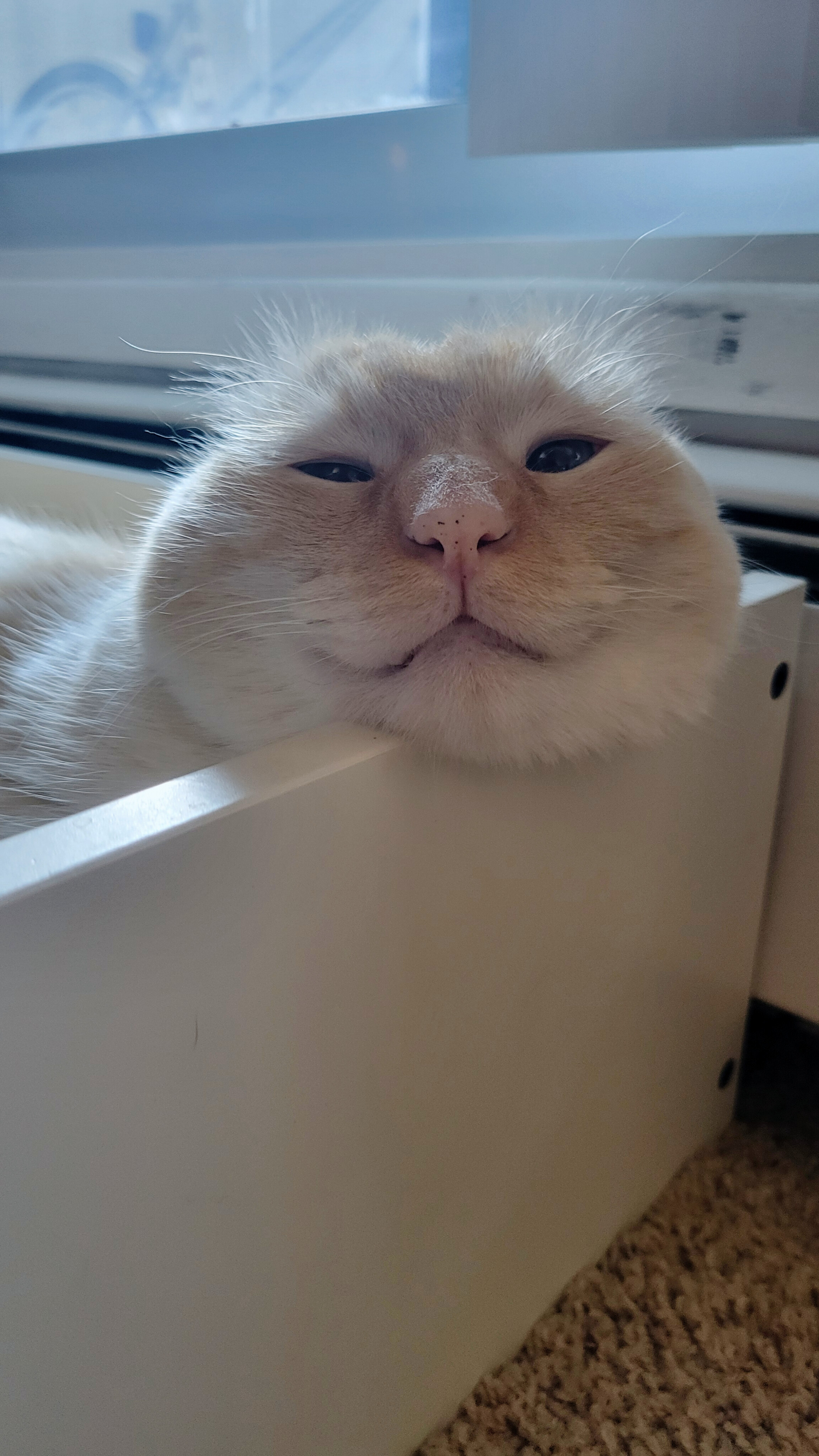 What is this strange creature?? | Scrolller