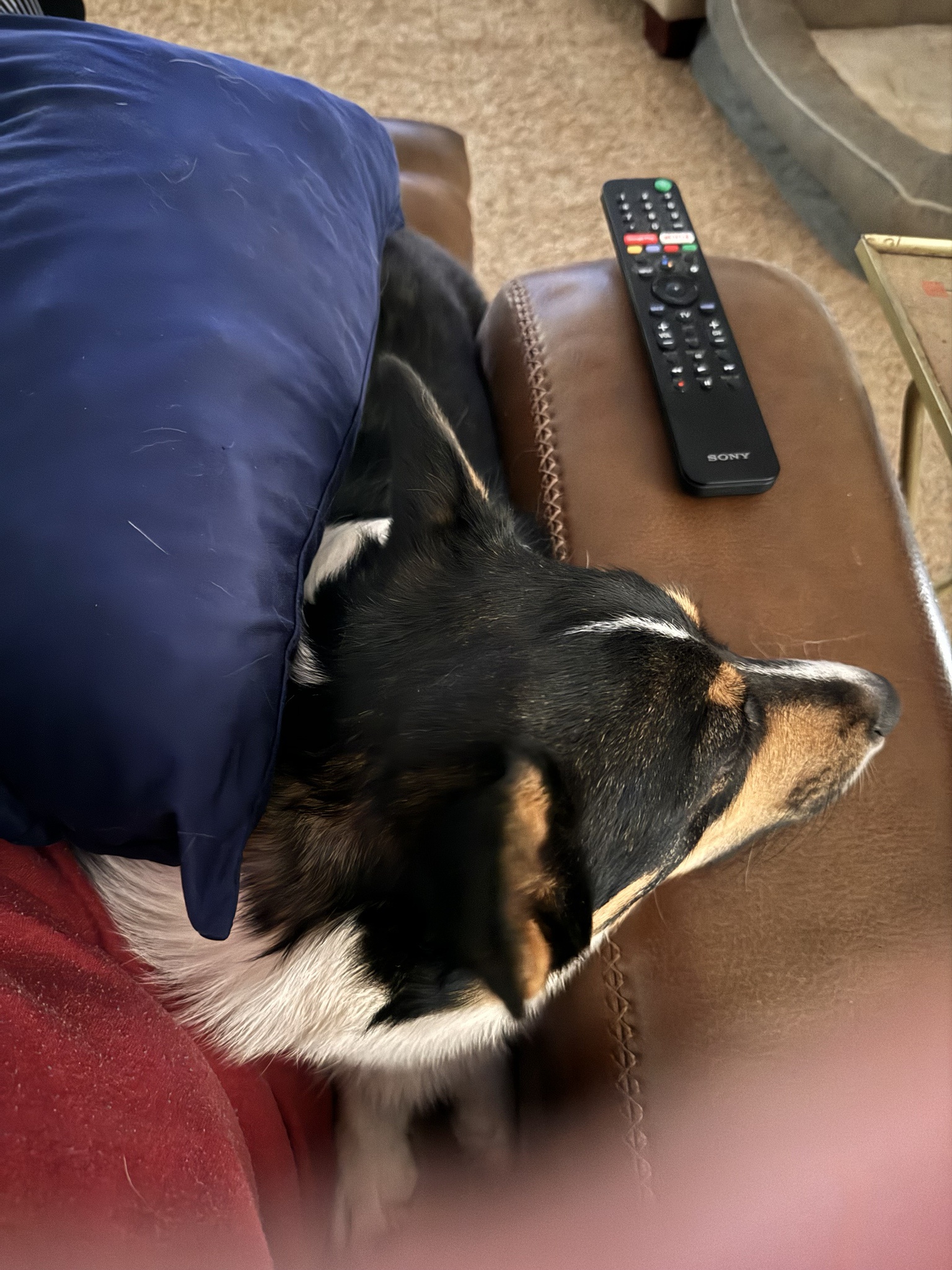 Storms coming | Scrolller