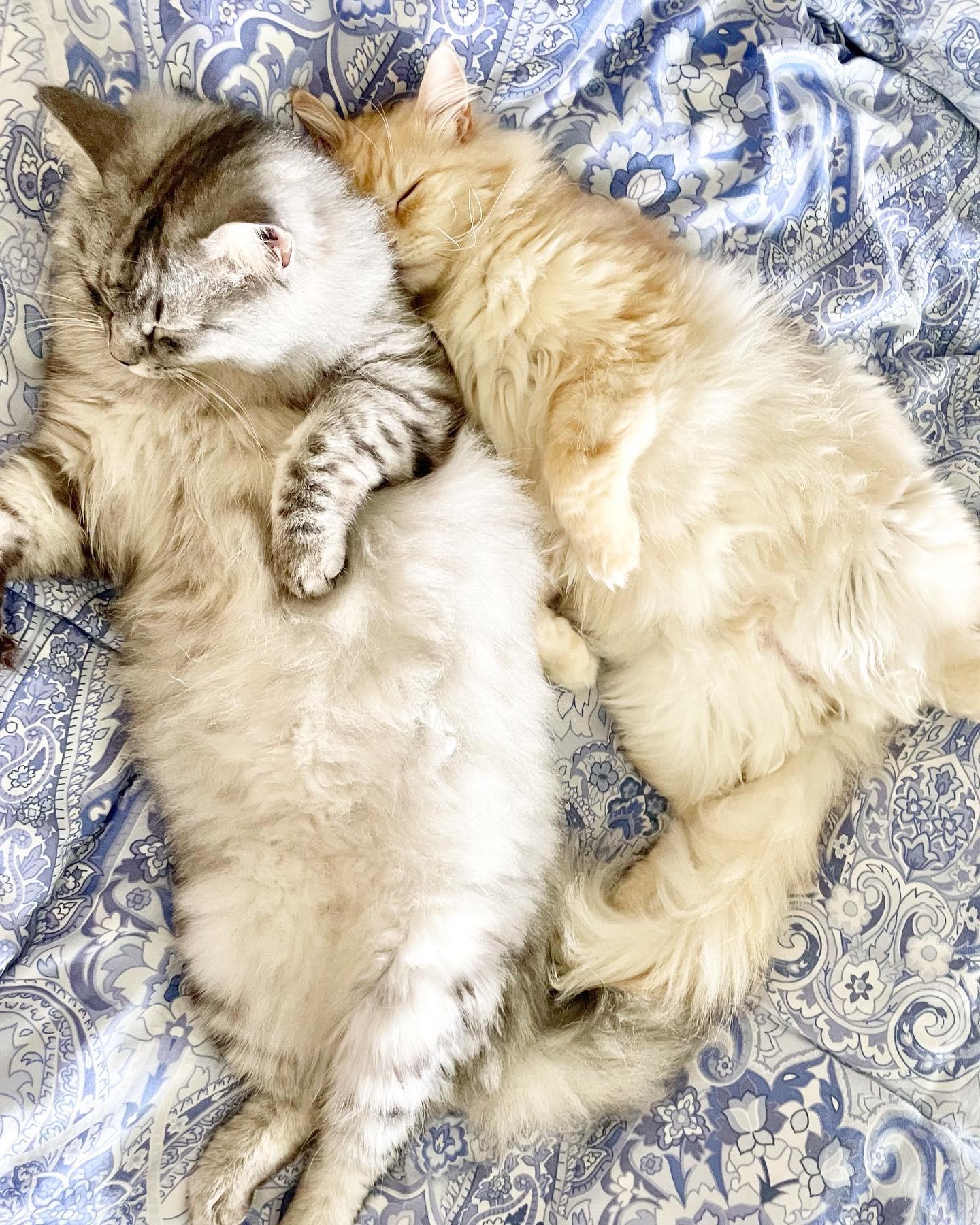 Get closer! | Scrolller