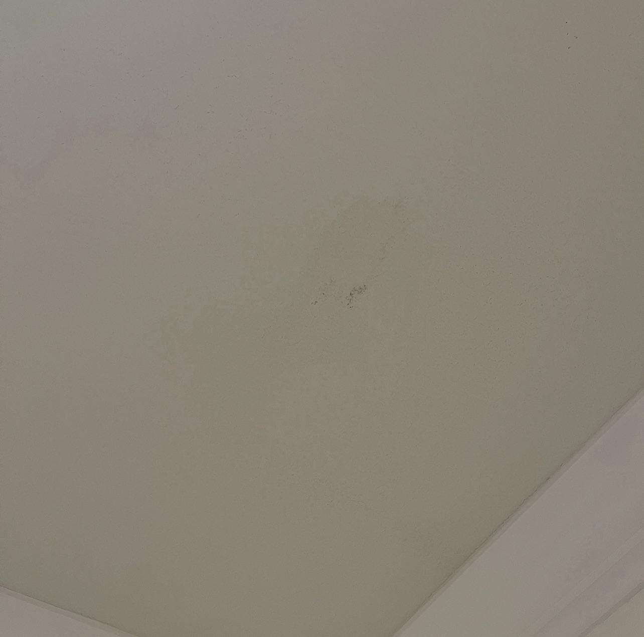 Is water damage on my ceiling? | Scrolller