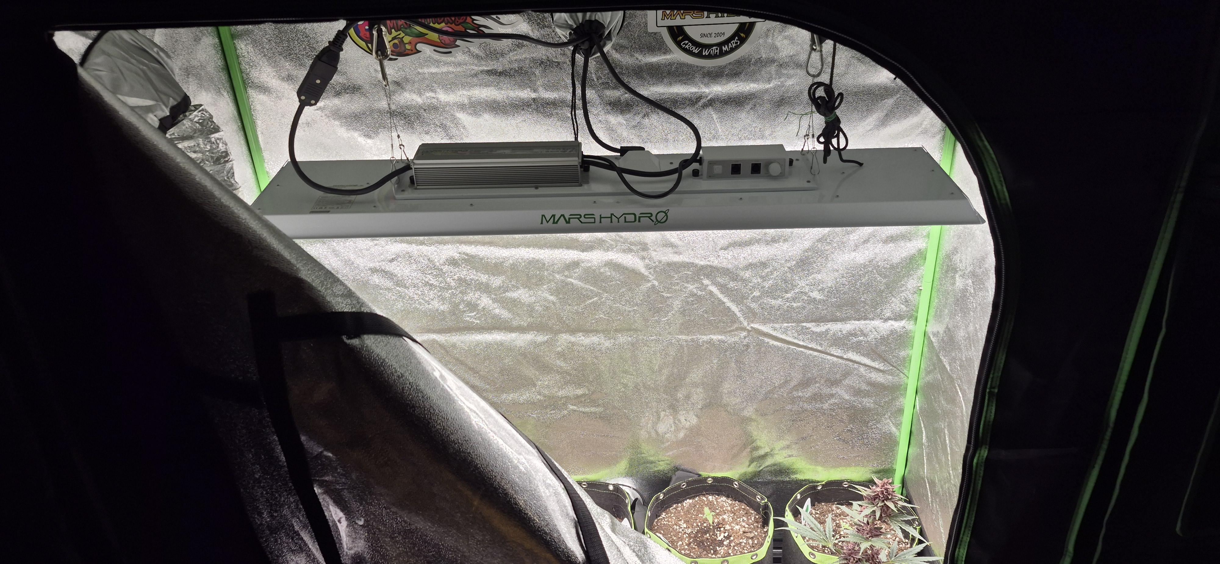 Finally put Auto tent together | Scrolller