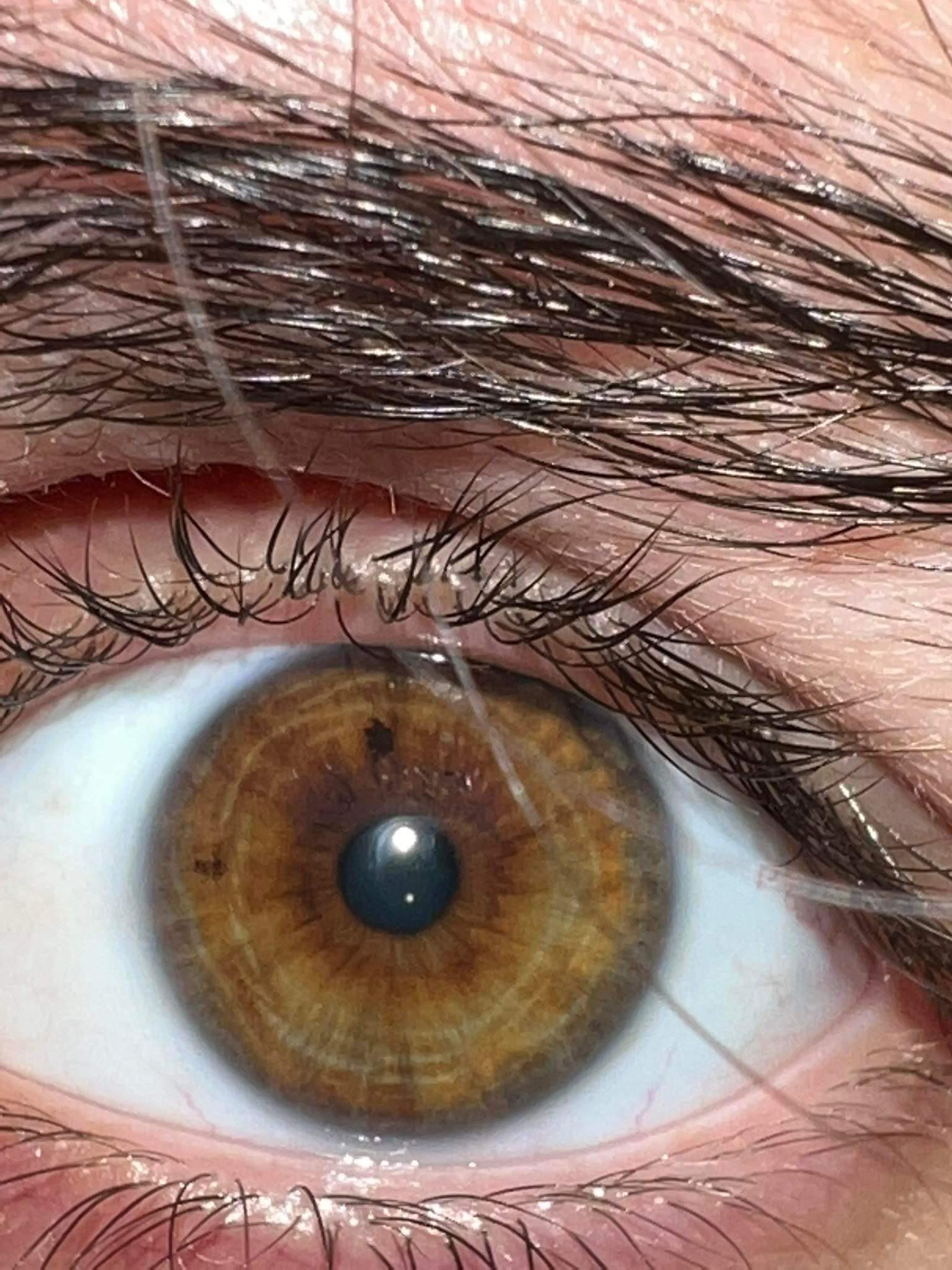 What’s the vibe? | Scrolller