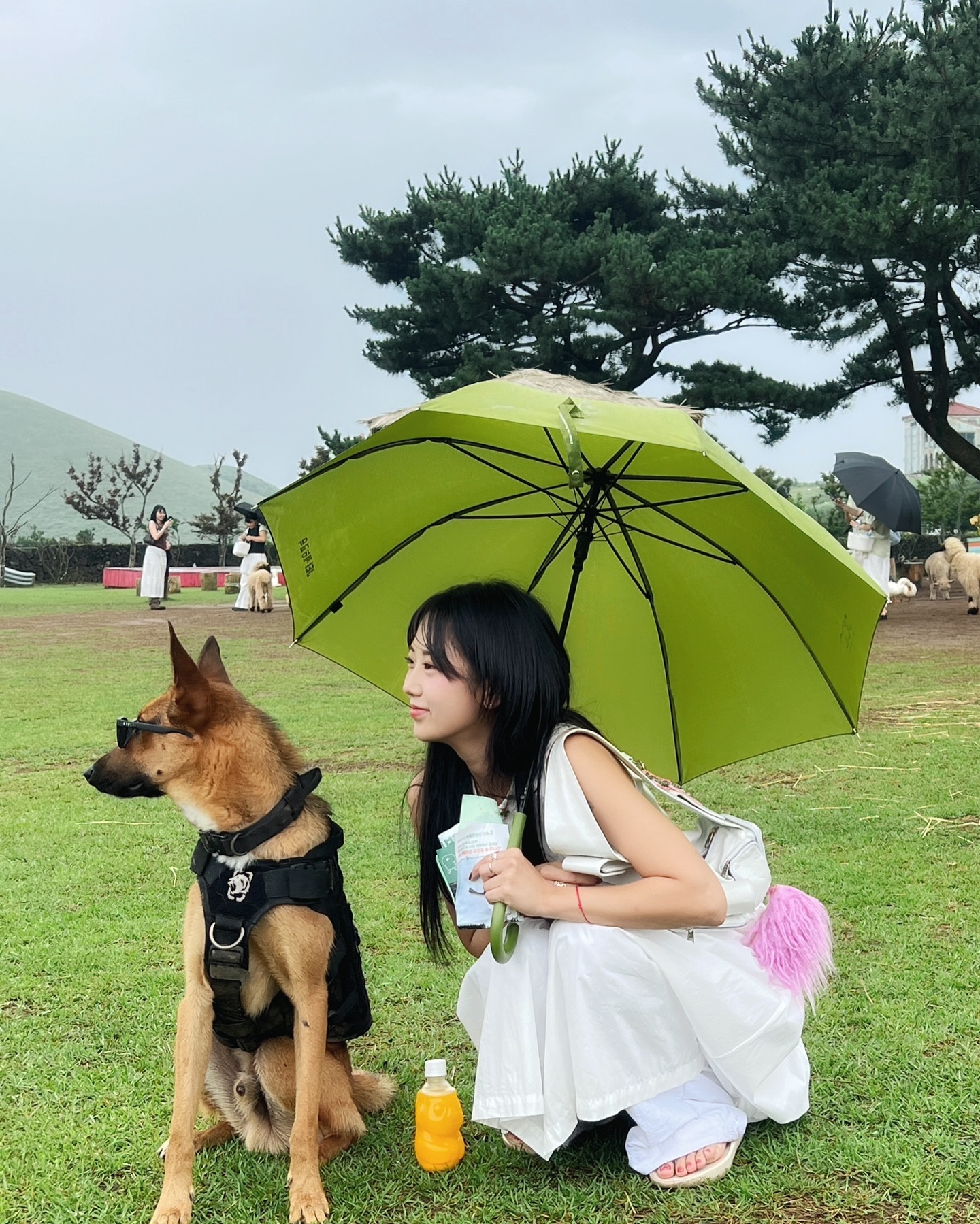 Bestie - Hyeyeon | Scrolller