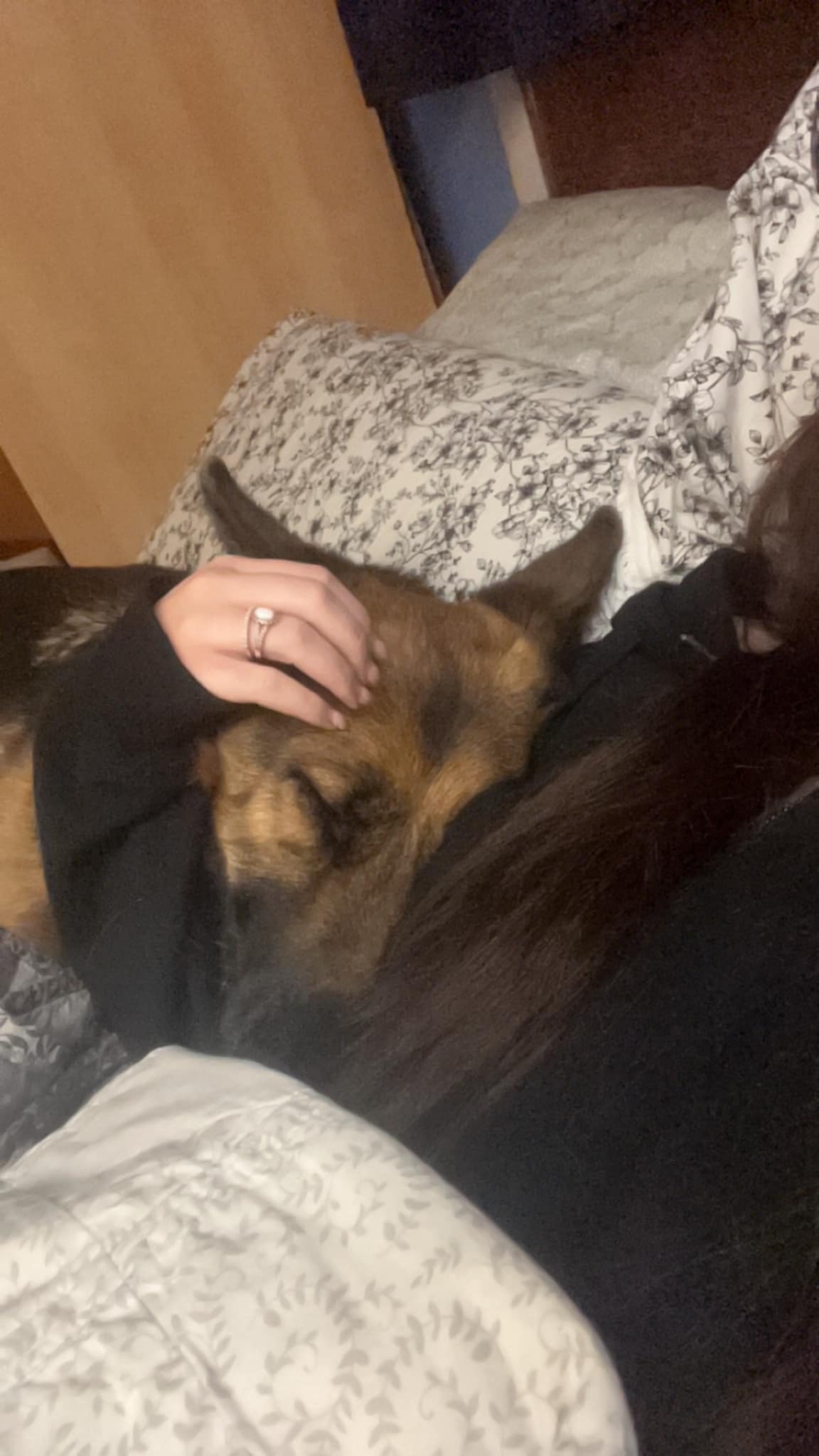 Post the last picture you took of your dog.No cheating! | Scrolller