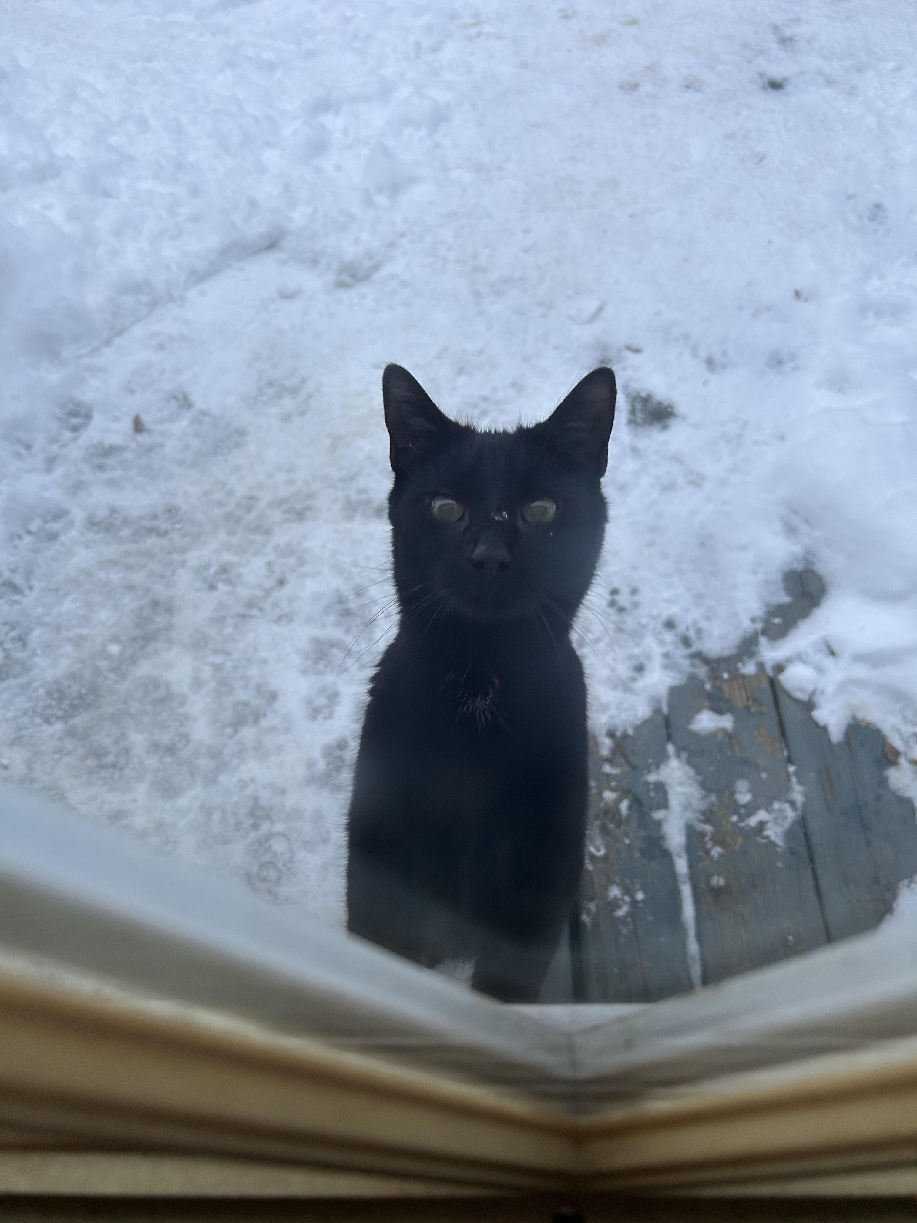 Very visible void in the snow | Scrolller