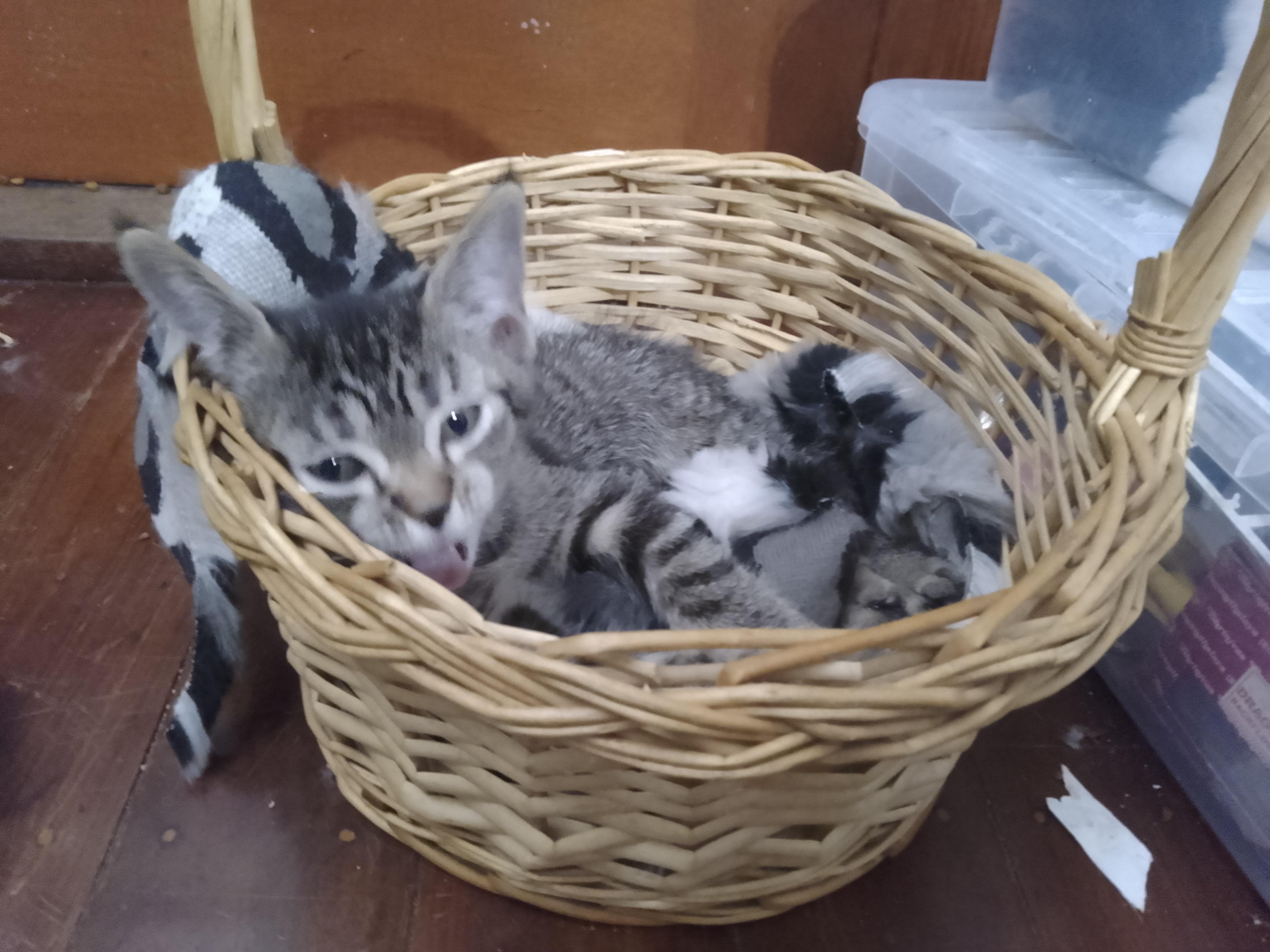 A small trap for small beans | Scrolller