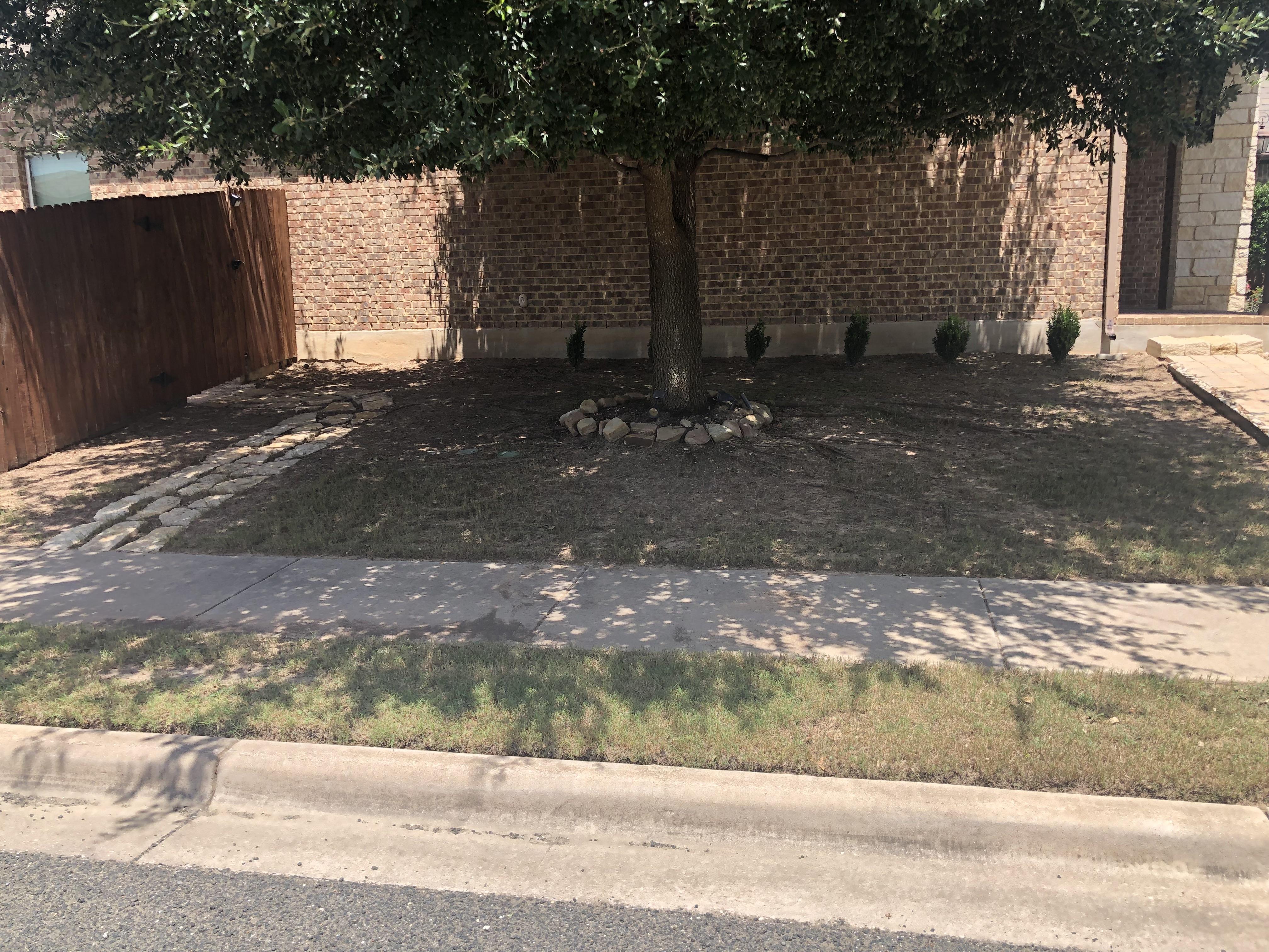 Help on dead lawn space. | Scrolller