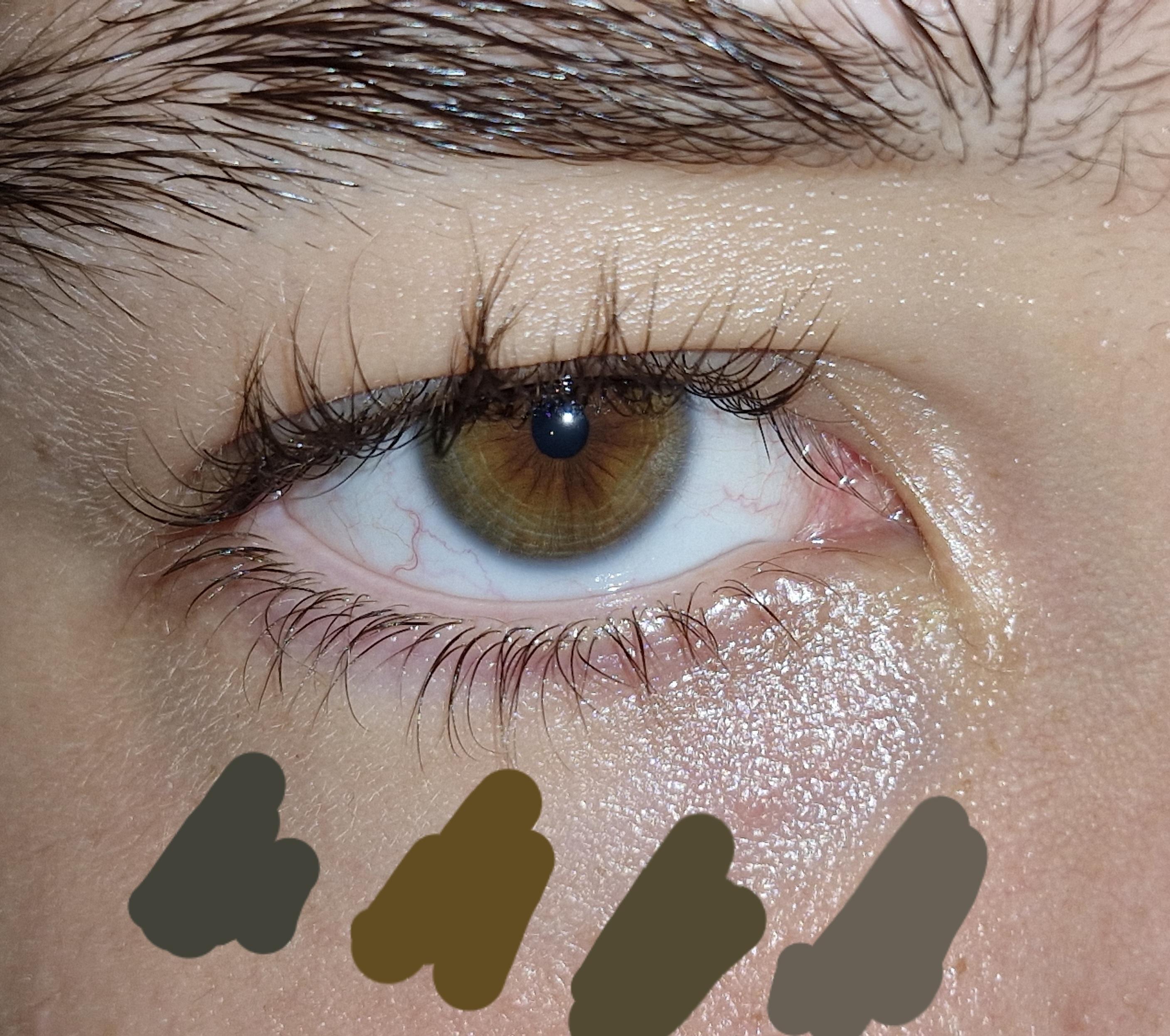 Is it Brown? Or Hazel? | Scrolller
