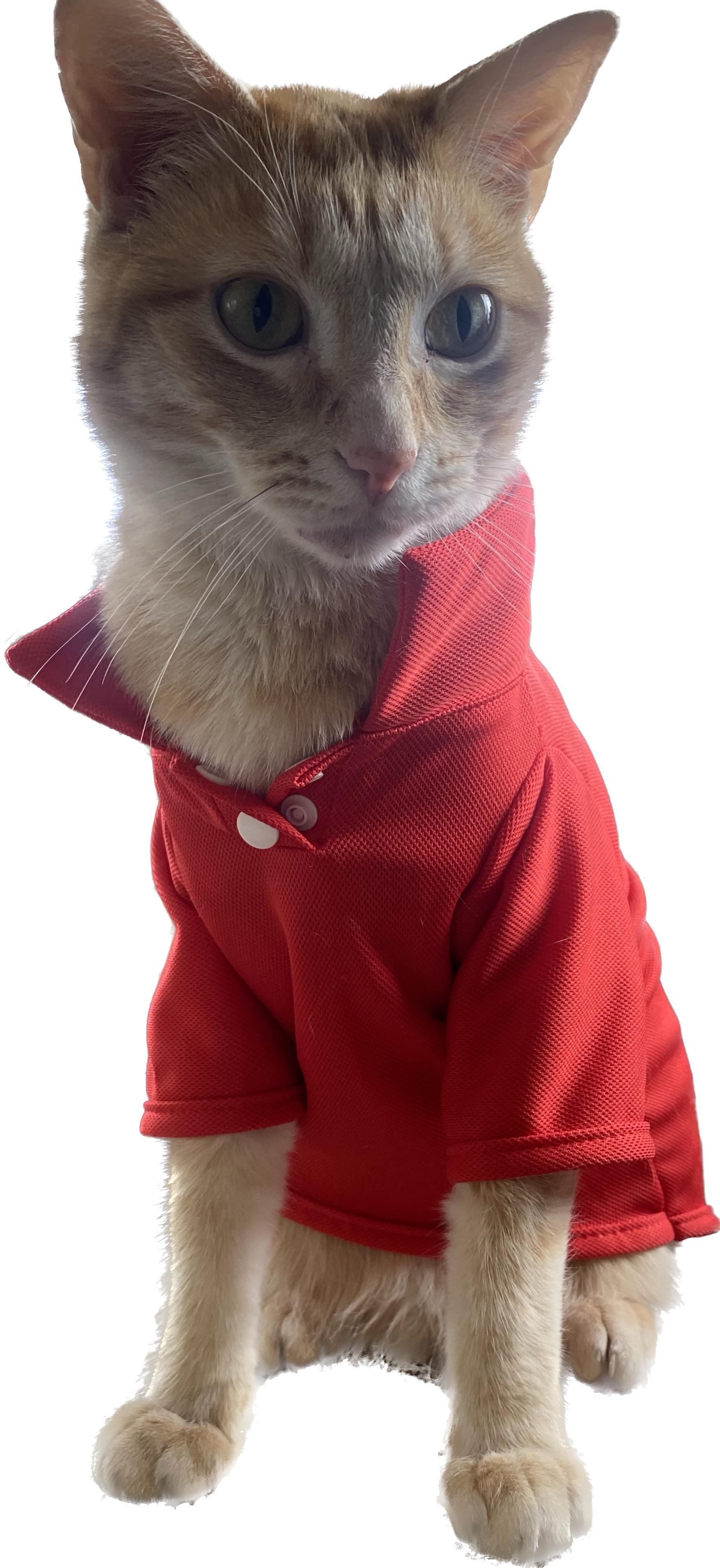 [OC] Amazing goodwill find… which of my boys wore it better? | Scrolller