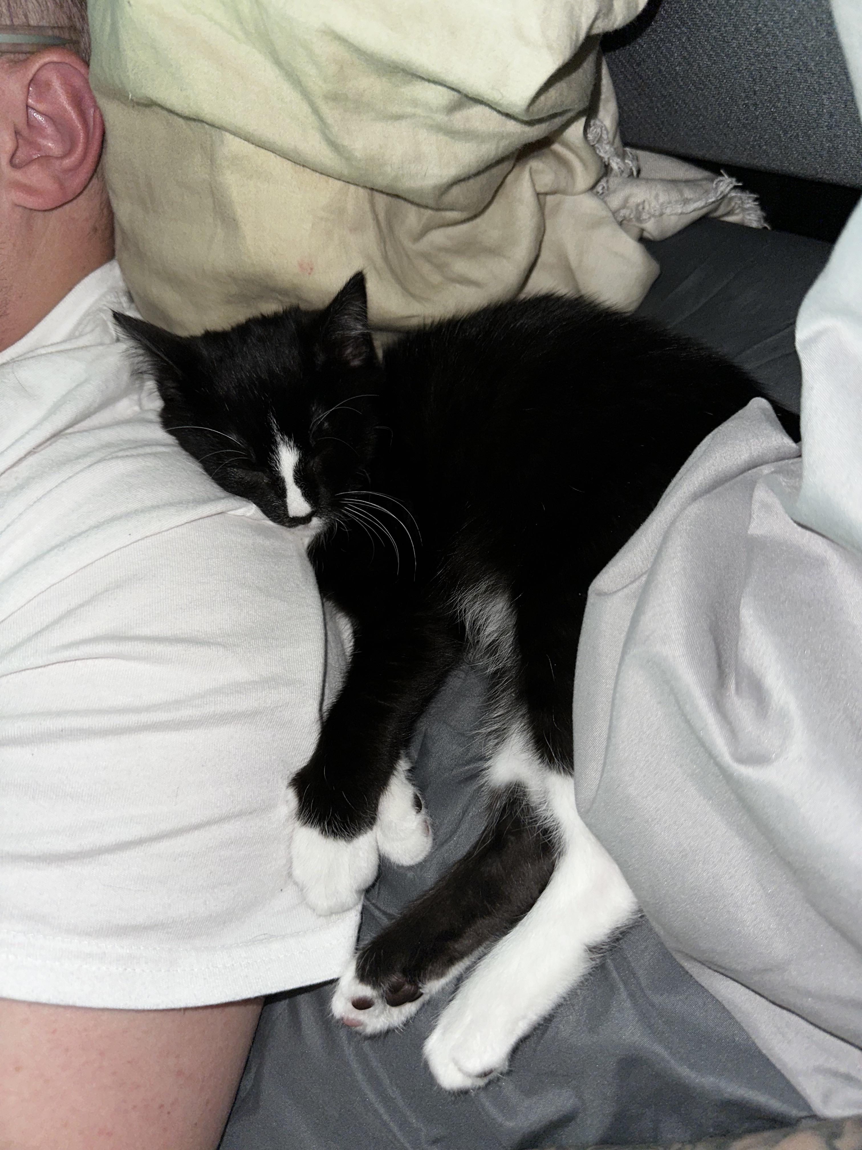 New Family Member!! | Scrolller