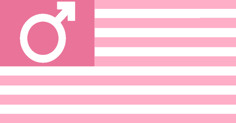 Here is all the flags ive made femboy versions of so far! | Scrolller