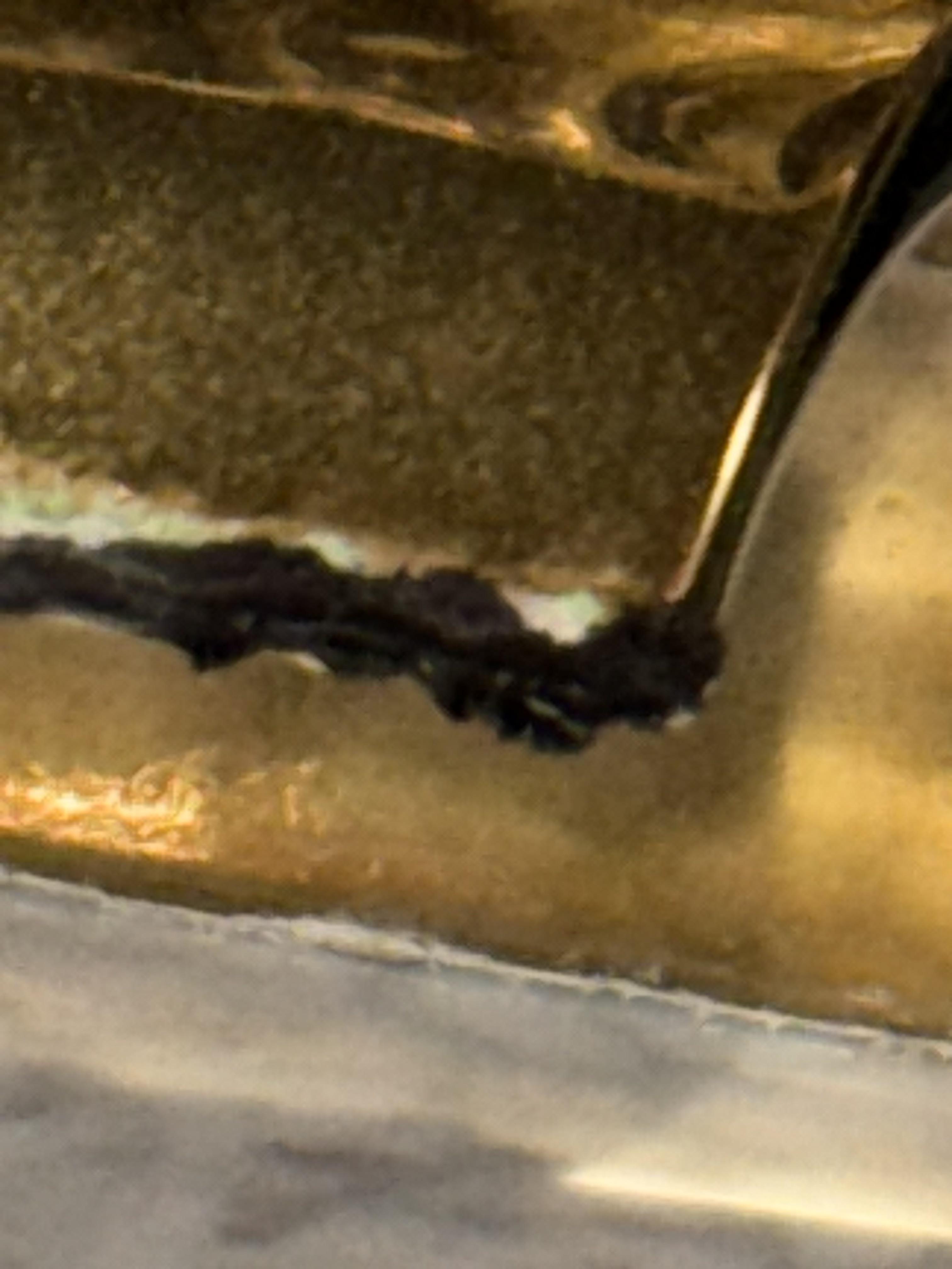 Why is there mold in my faucet spout? | Scrolller