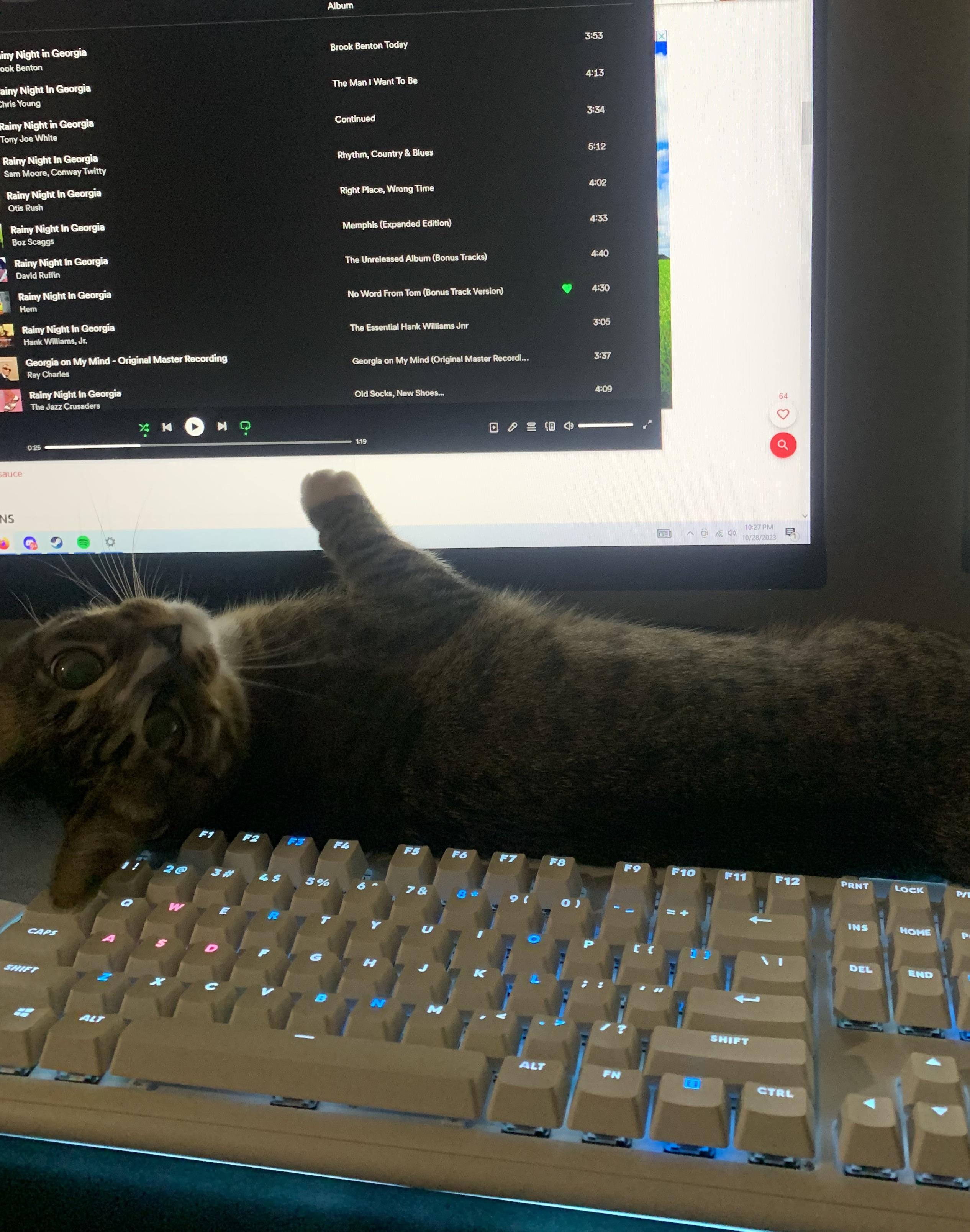 Vibe machine | Scrolller