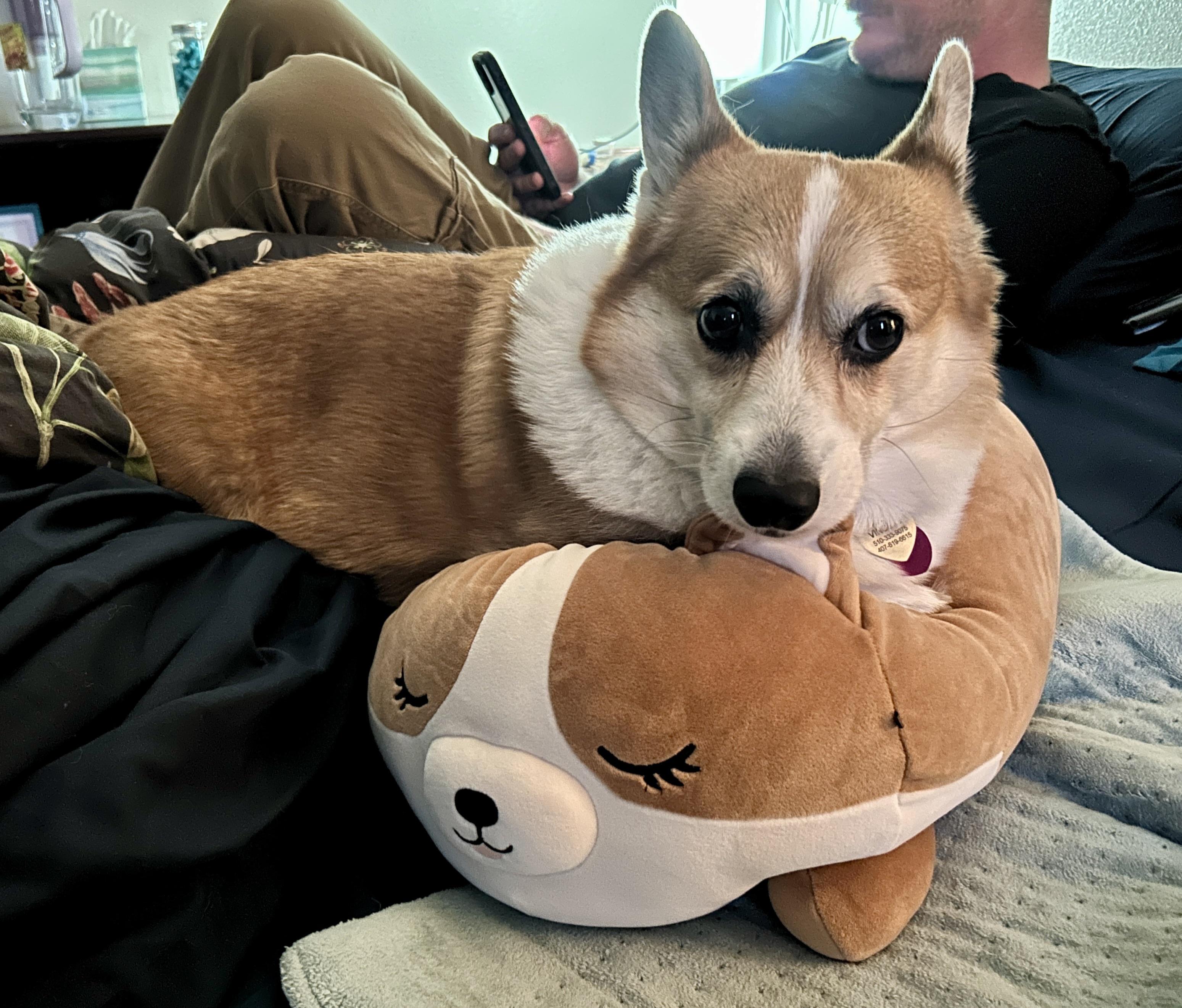 Vincent asserting her dominance over fake Vincent. | Scrolller