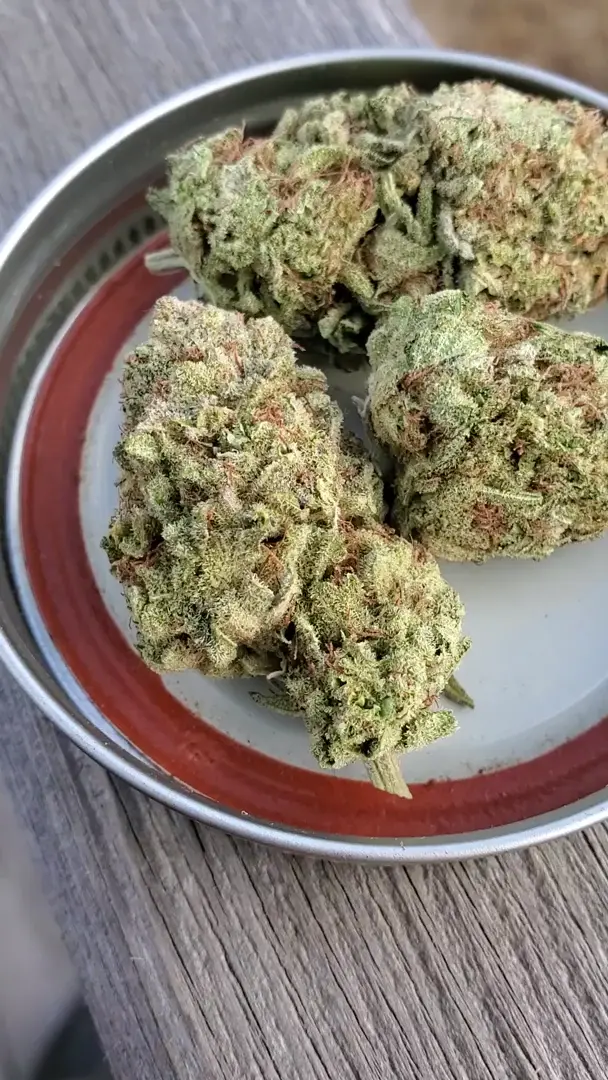 Violator Buds | Scrolller