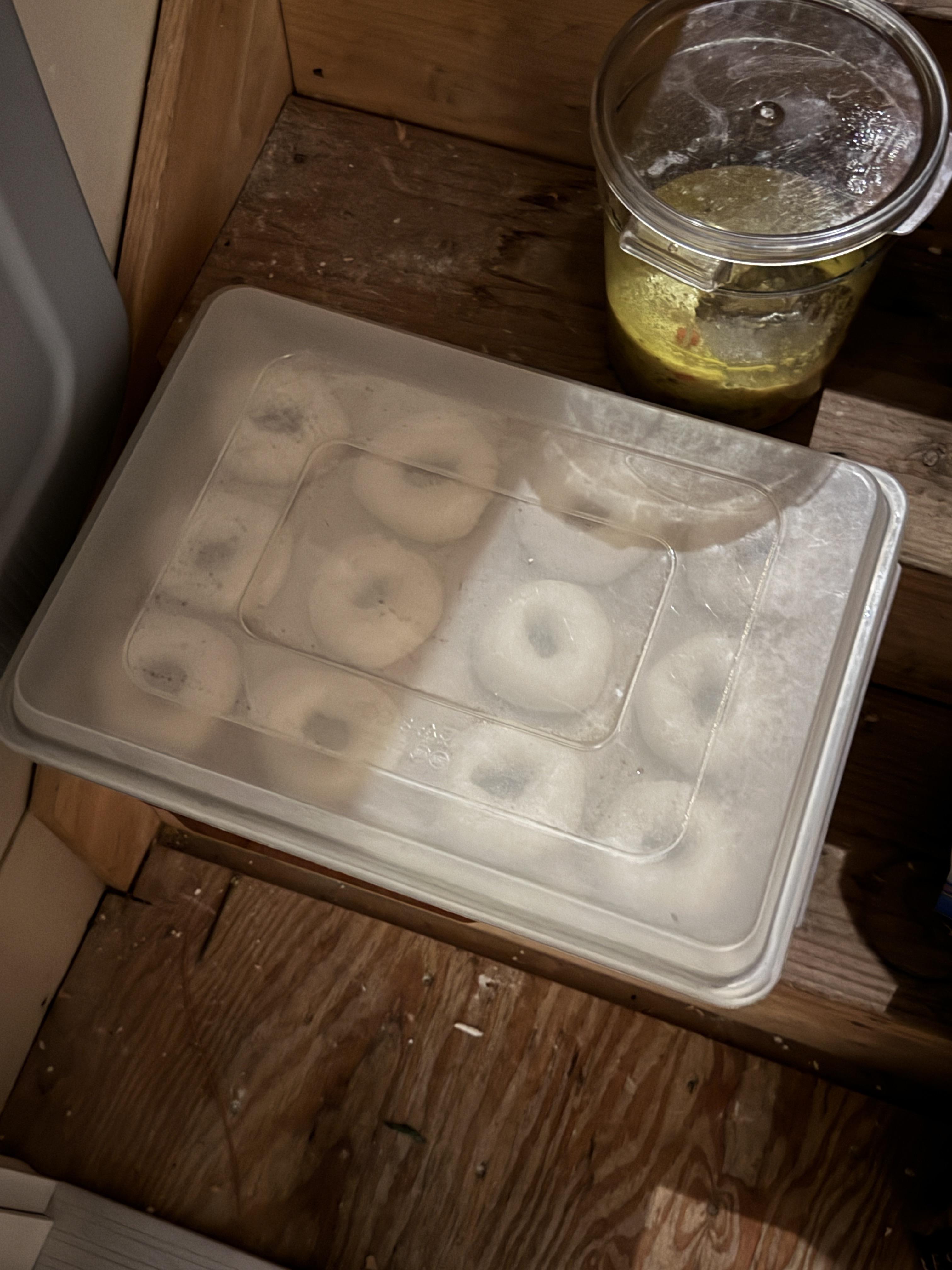 Sourdough Bagels (first attempt) | Scrolller