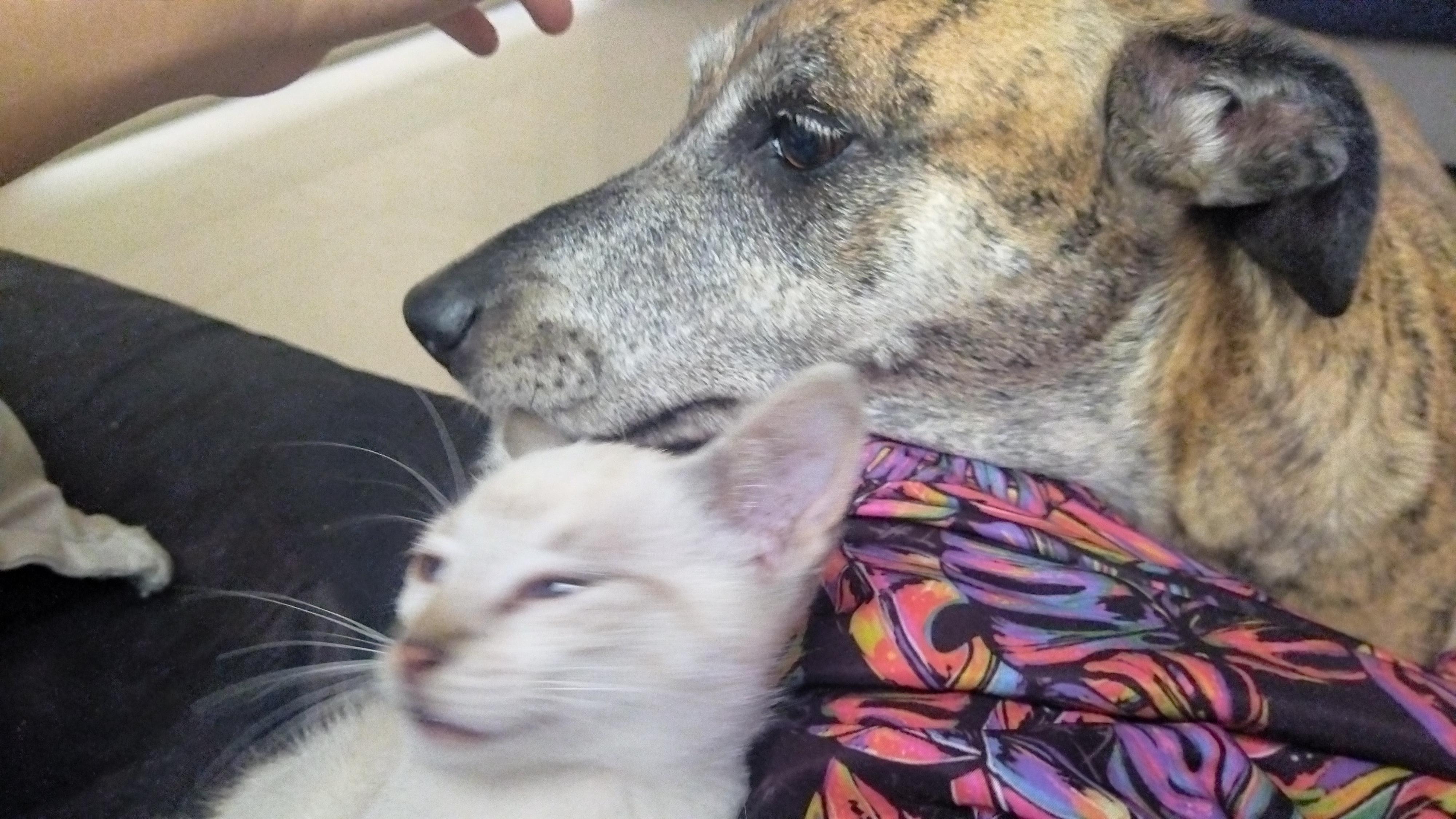 My weirdos | Scrolller