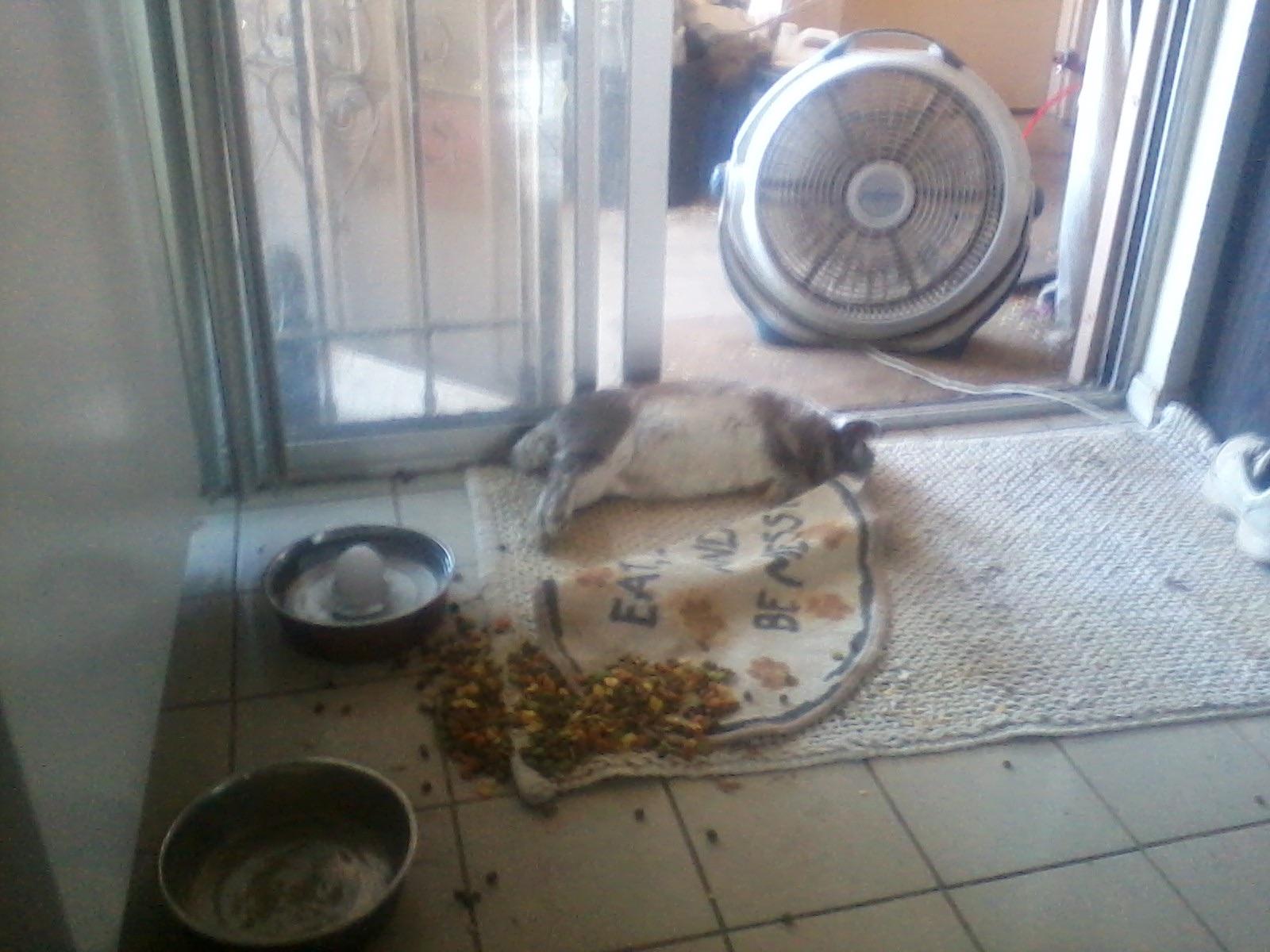 Marshall | Scrolller