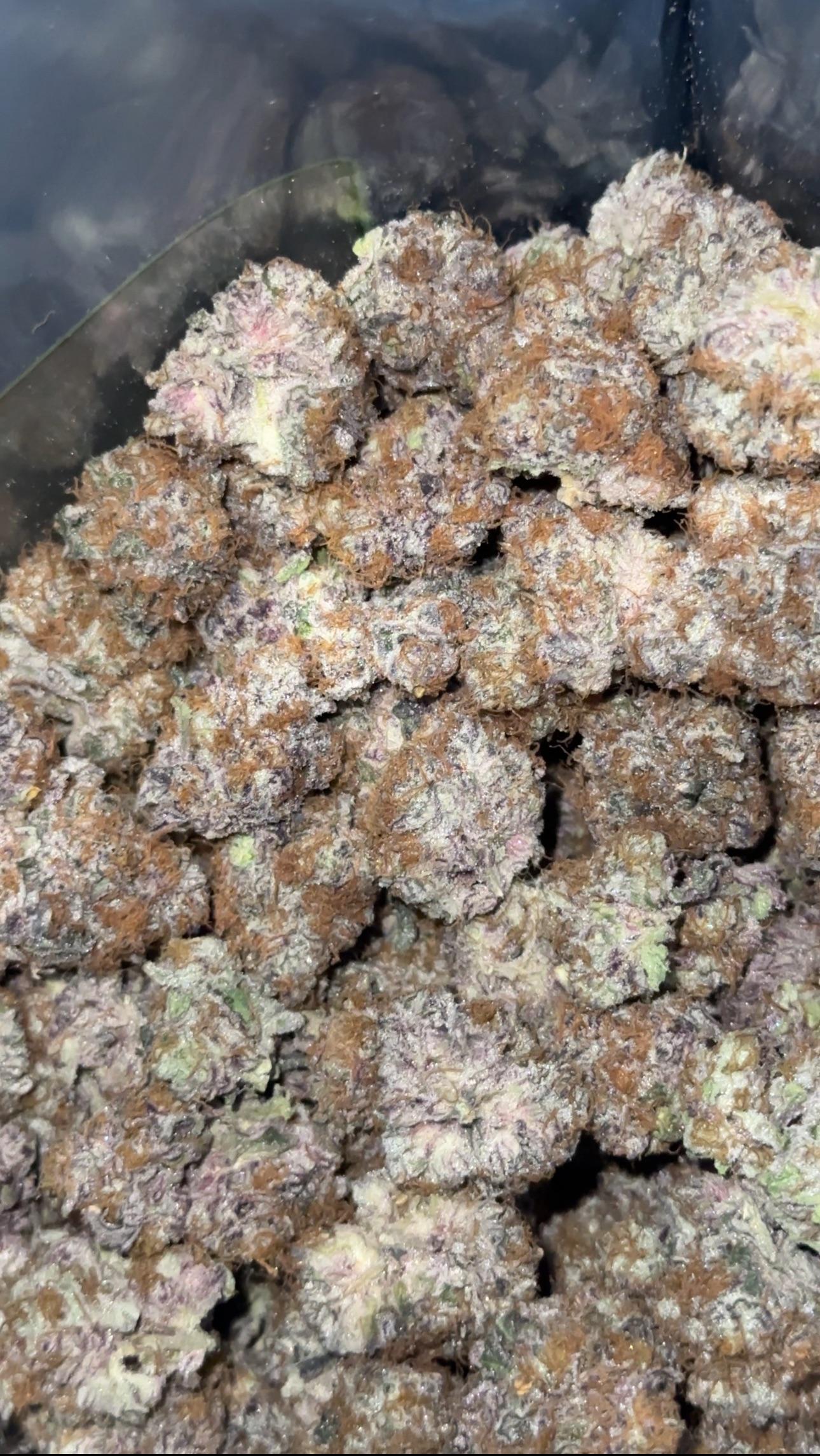Alaskan Grown 🥶 | Scrolller