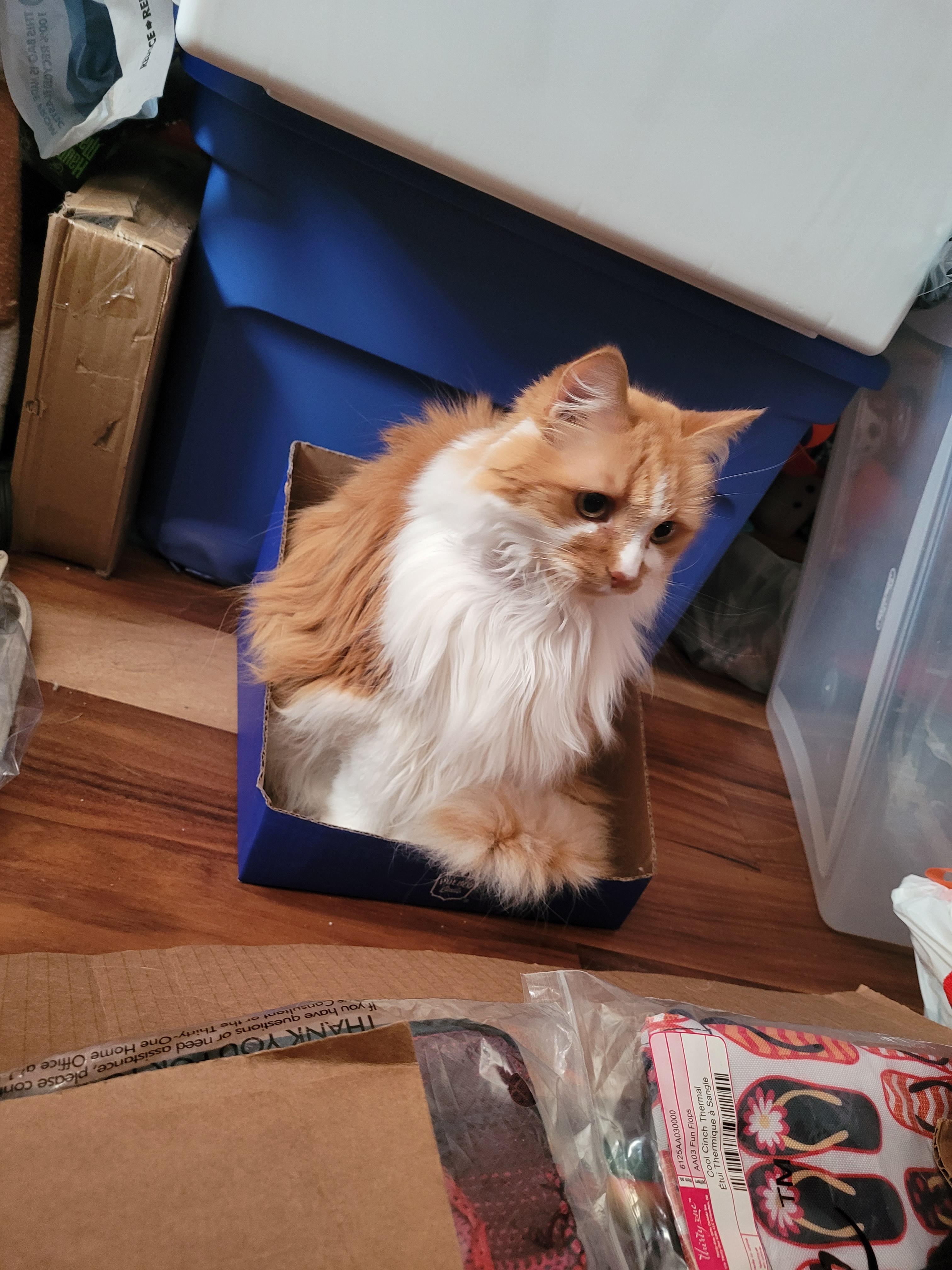 First time a trap has ever worked with her | Scrolller