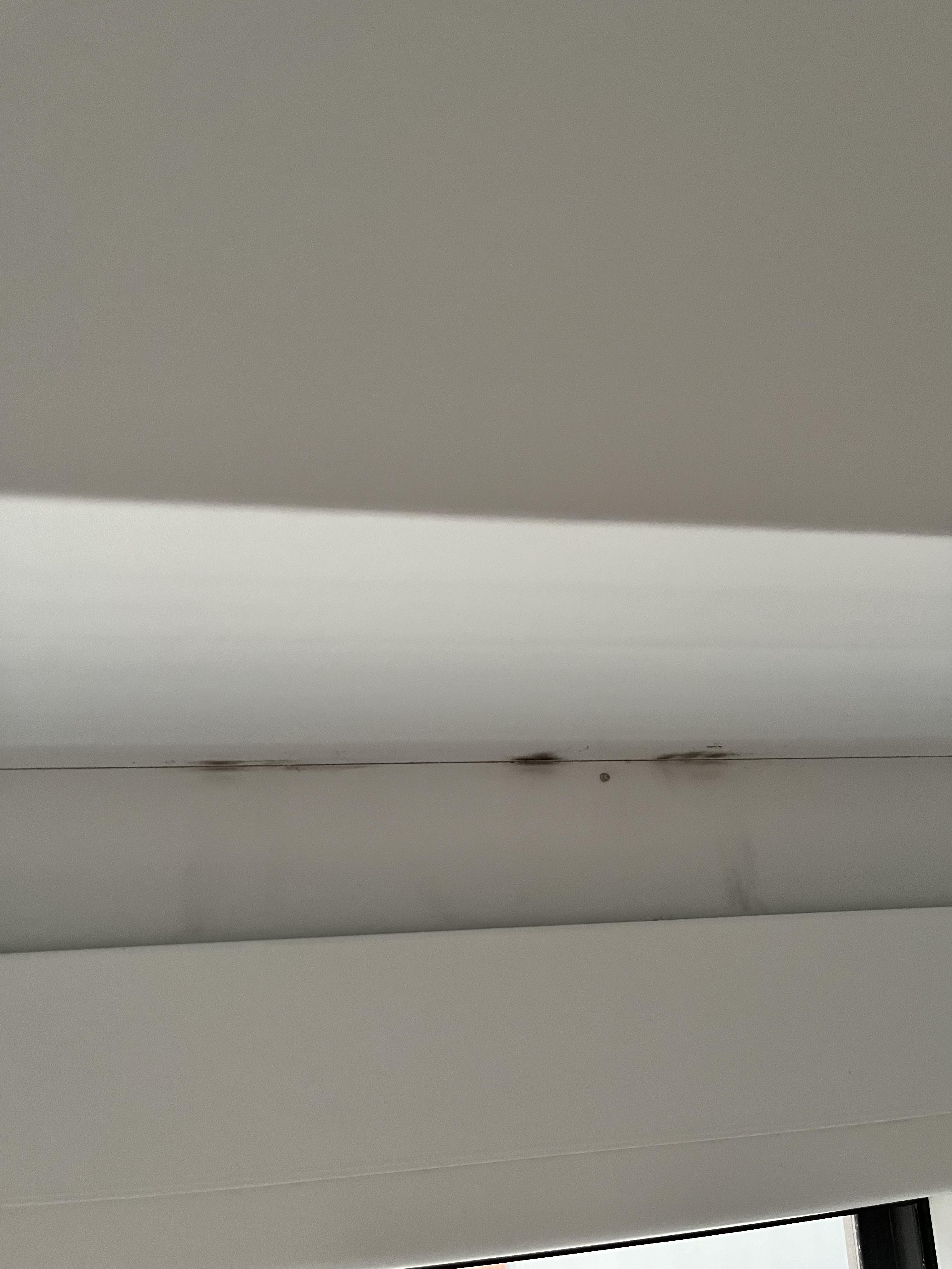 What are these marks above the windows? | Scrolller