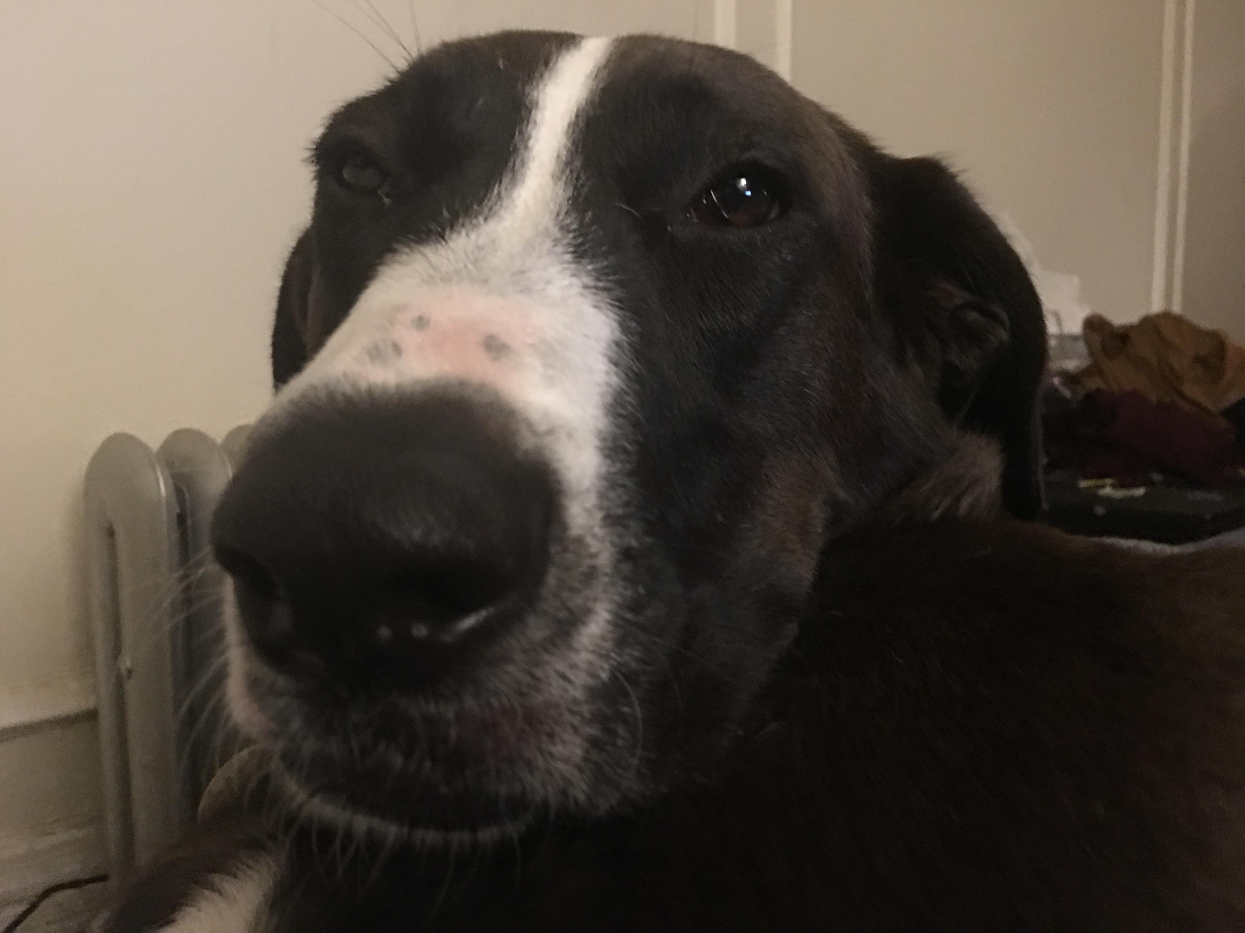 BOOP: before and after | Scrolller