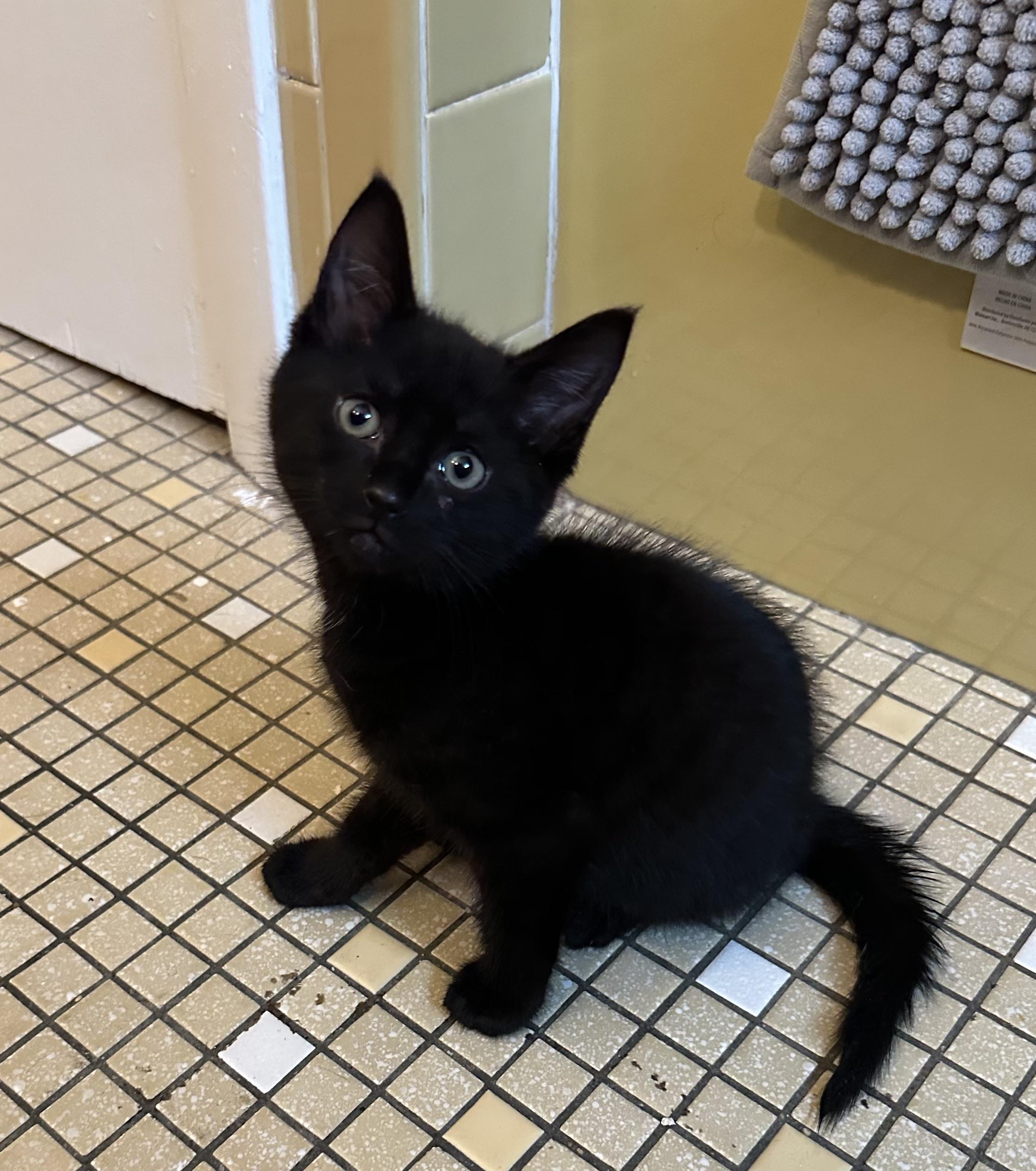 Our new void | Scrolller