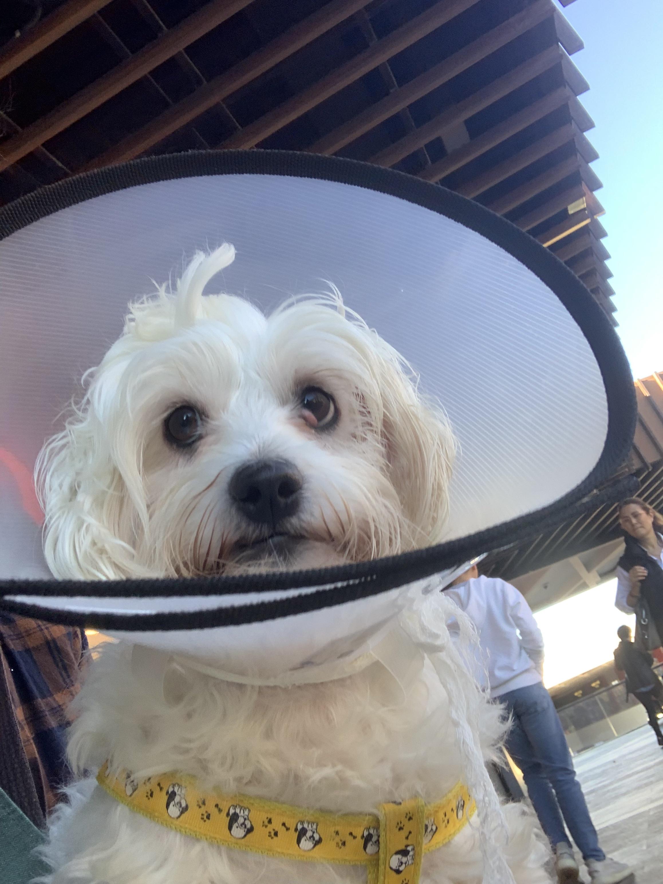 Cone head | Scrolller