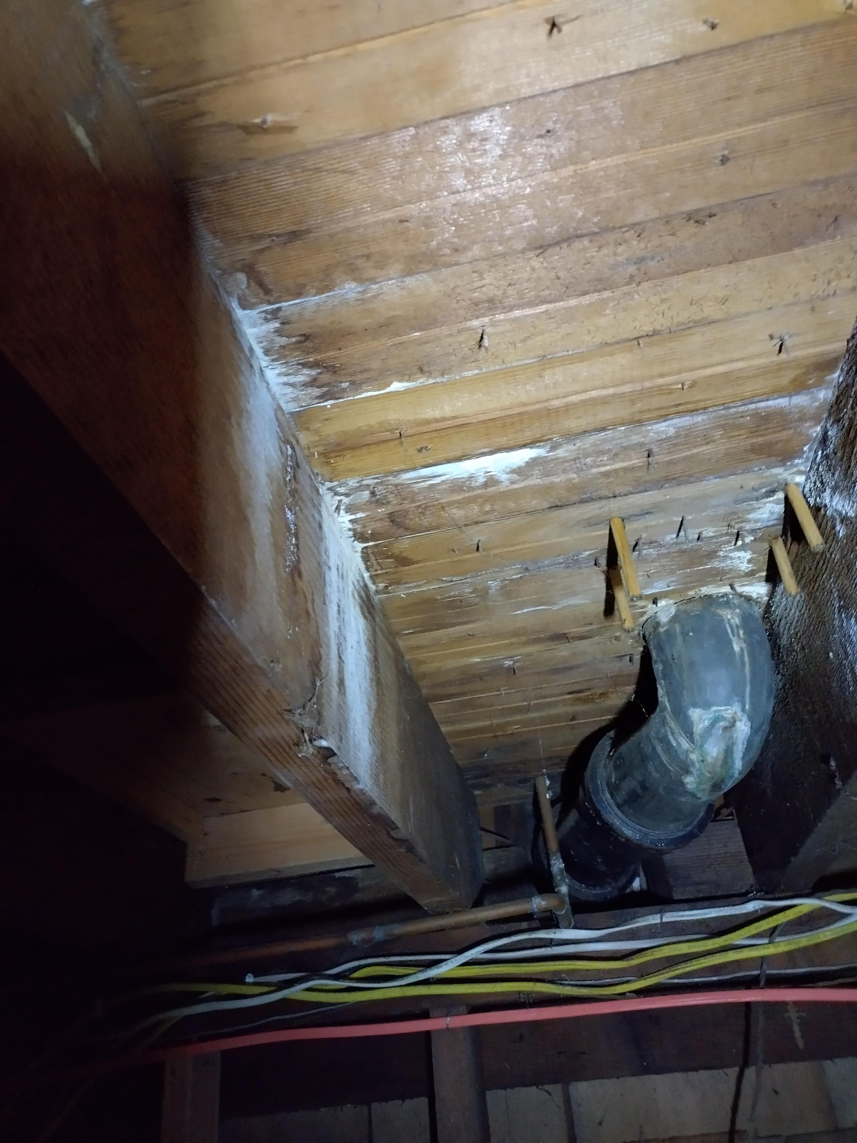 Discover more like Plumbing: Is this white stuff mold? and Related Content | Scrolller