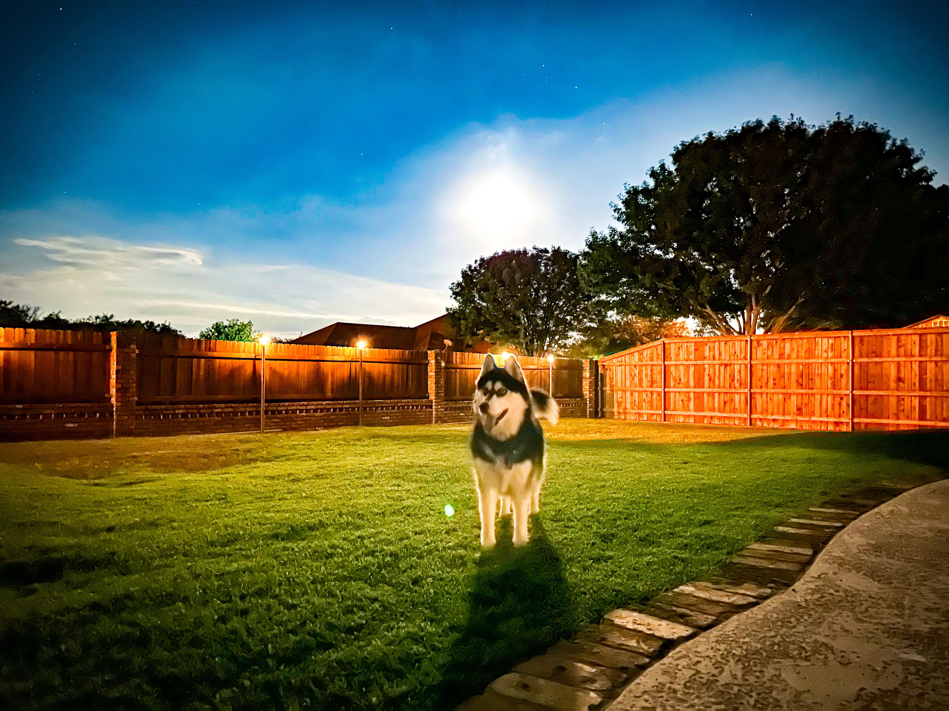 Moonlight photos | Scrolller