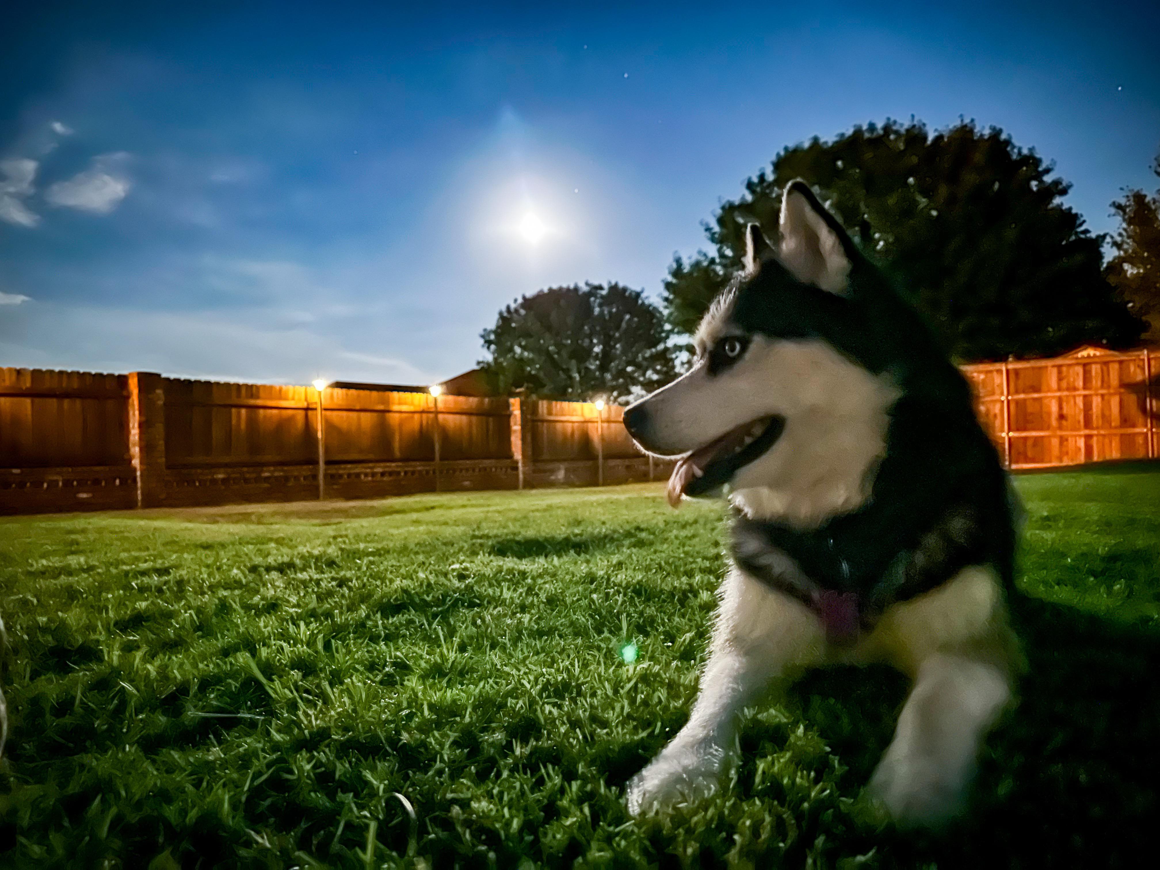 Moonlight photos | Scrolller