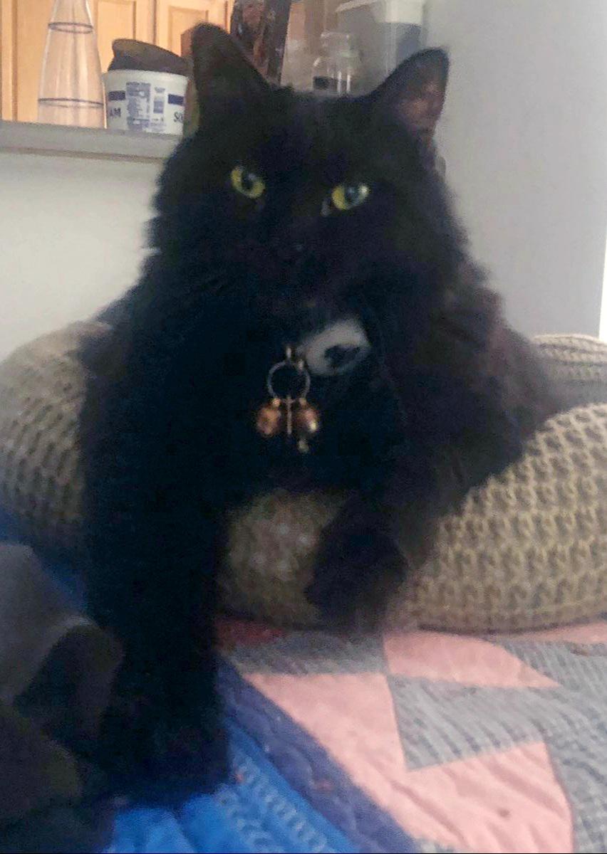 I made my big void a new bed | Scrolller