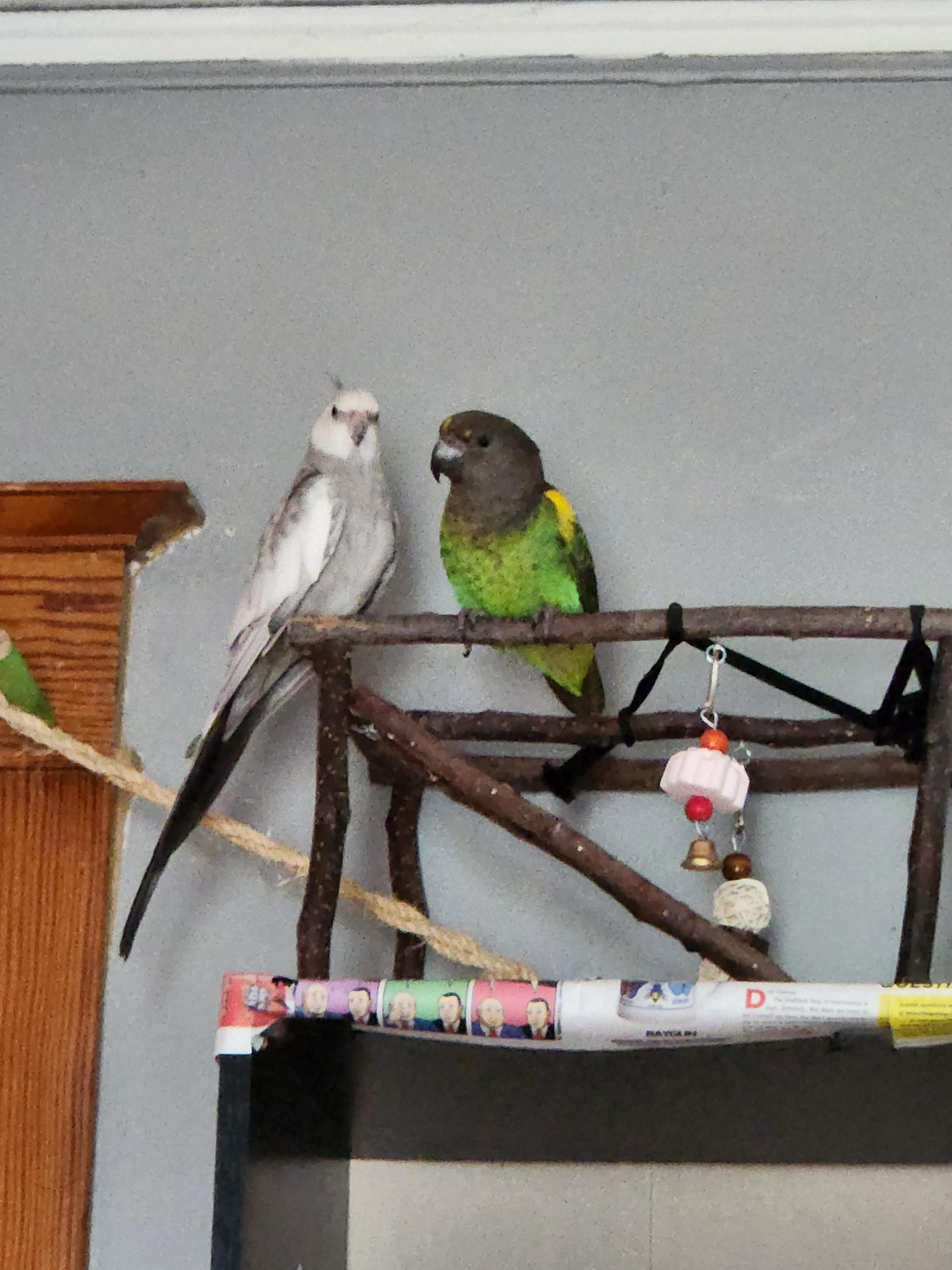 The girls are plotting | Scrolller