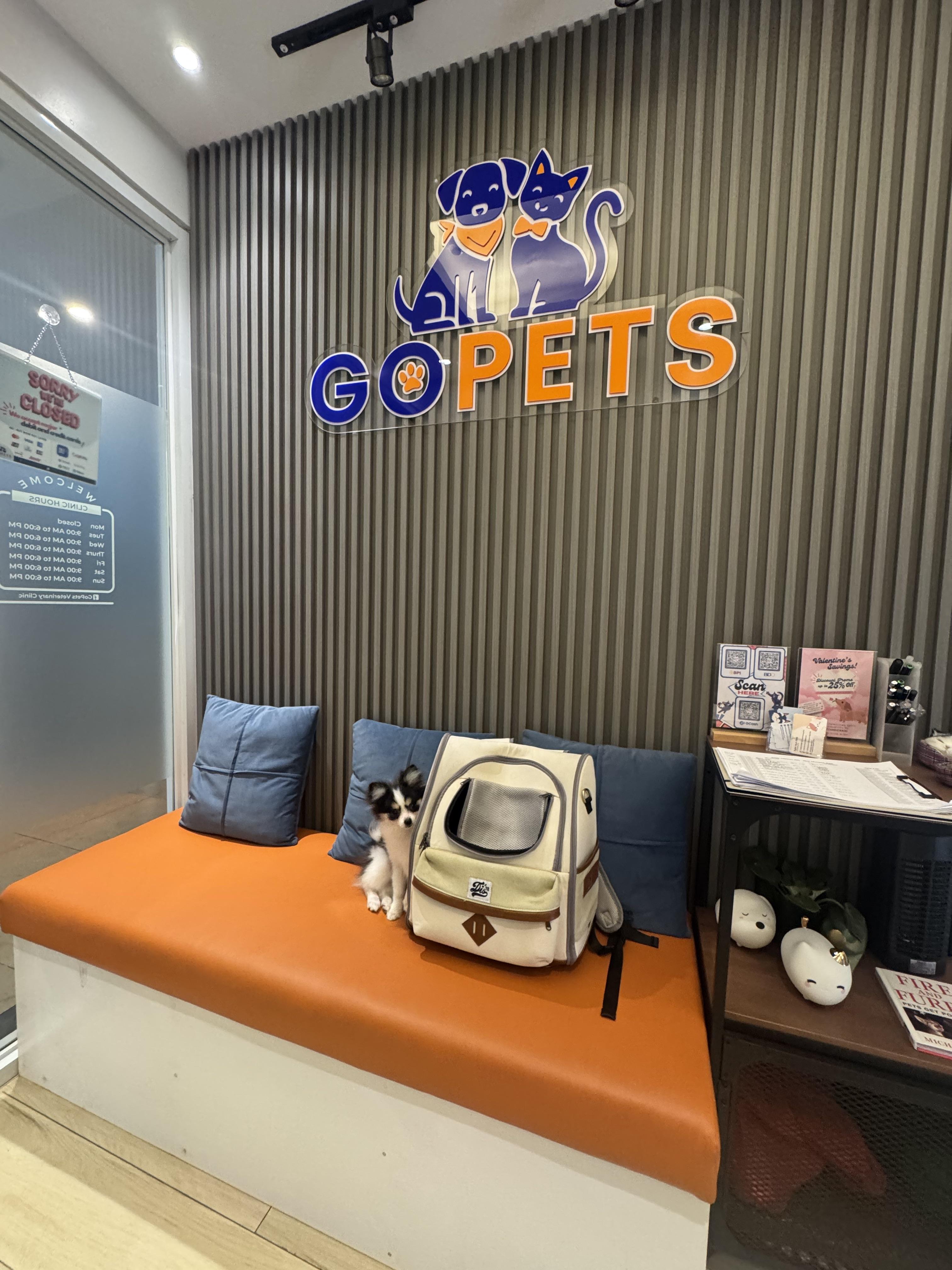 Veterinarian visit | Scrolller