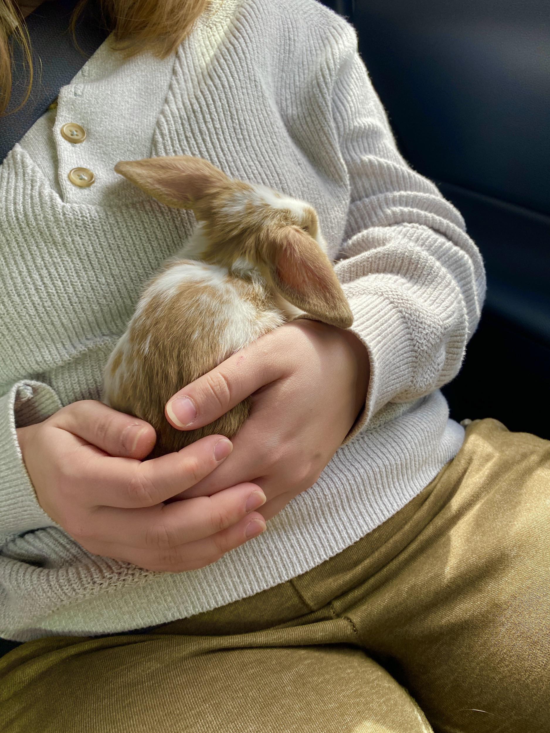 Today’s His Gotcha Day! | Scrolller