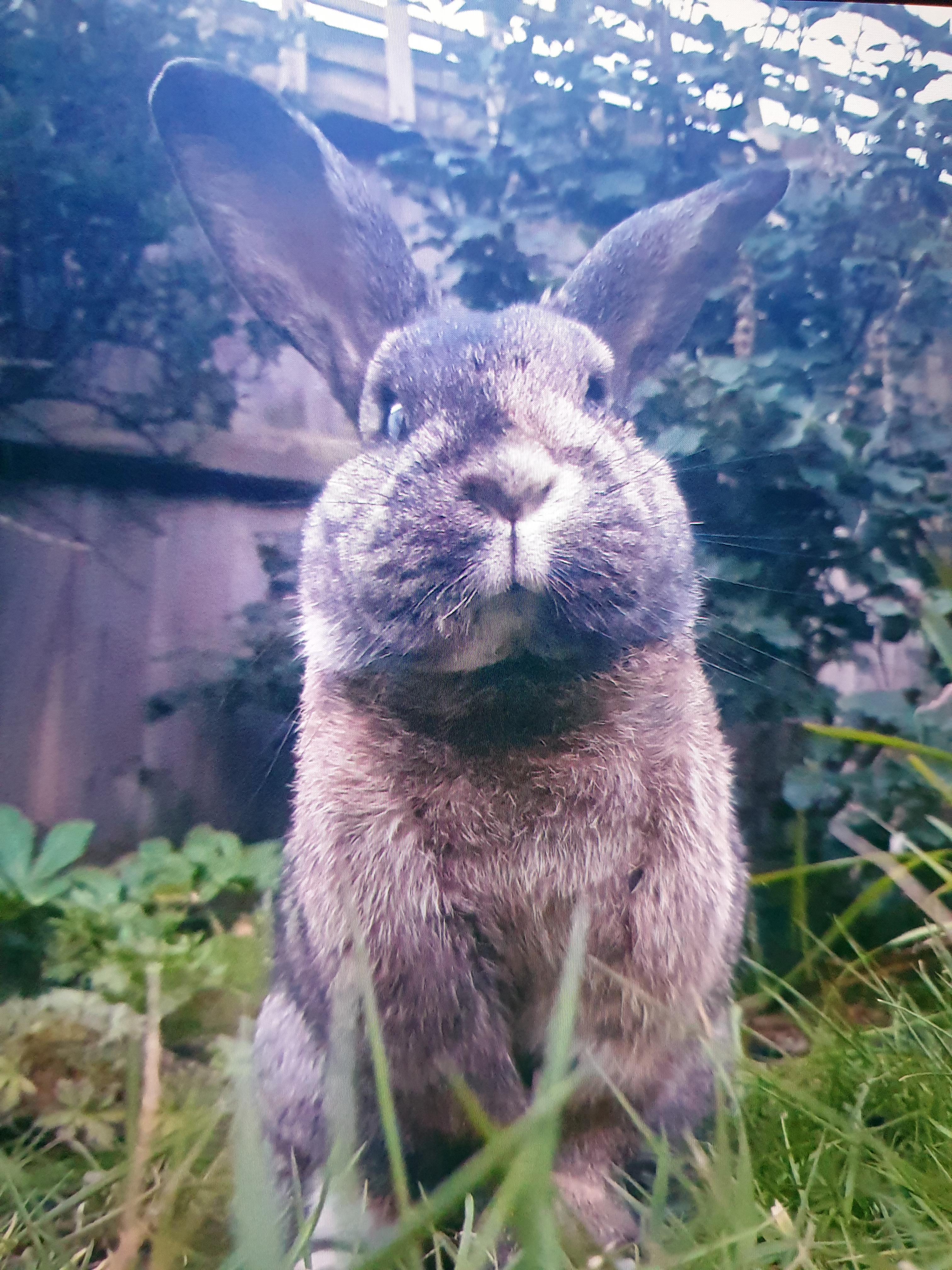 Throwback pics of Bronte during summer 2020 during the first lockdown. Bronte would have only ...
