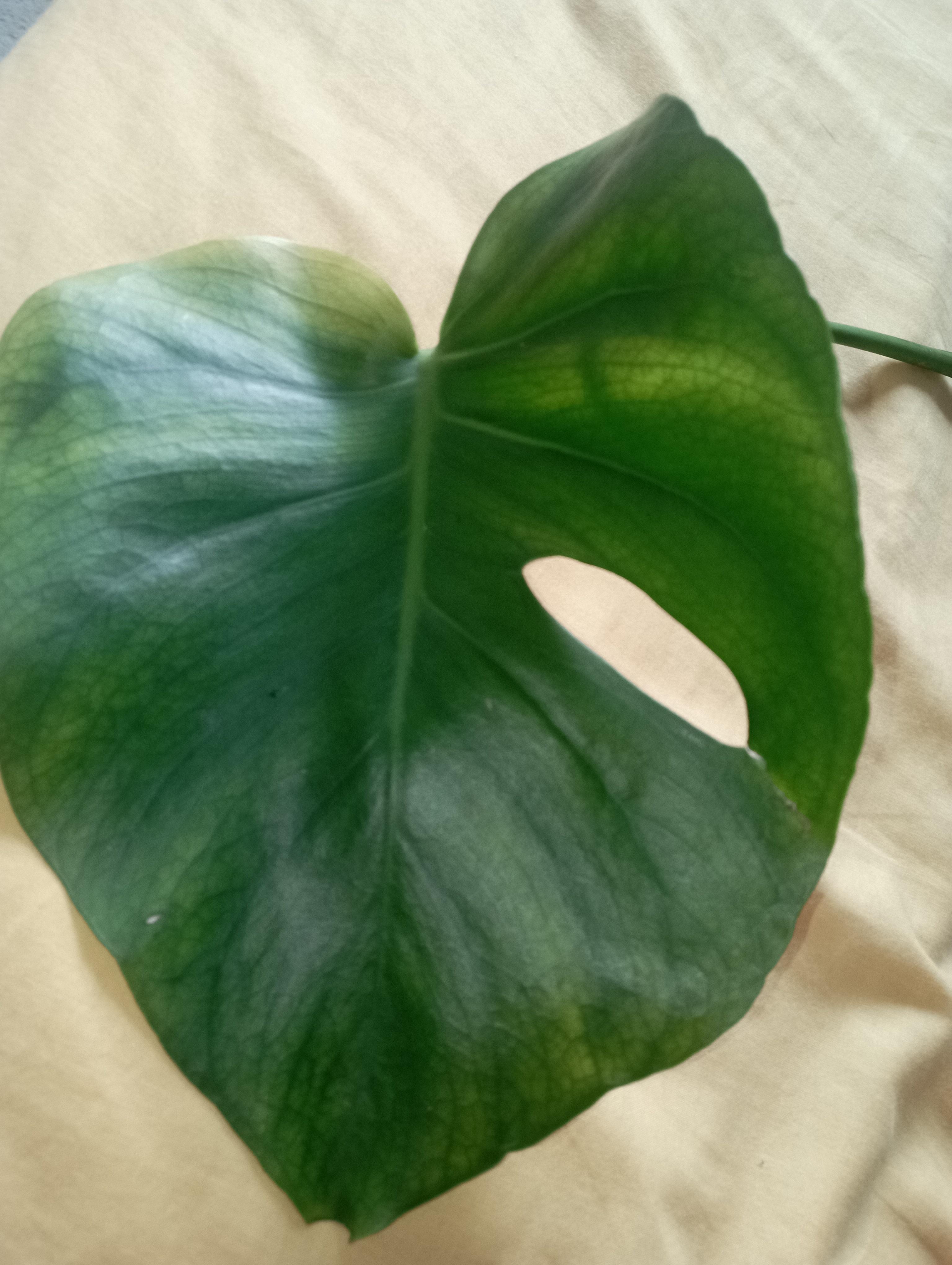 Is there hope? | Scrolller