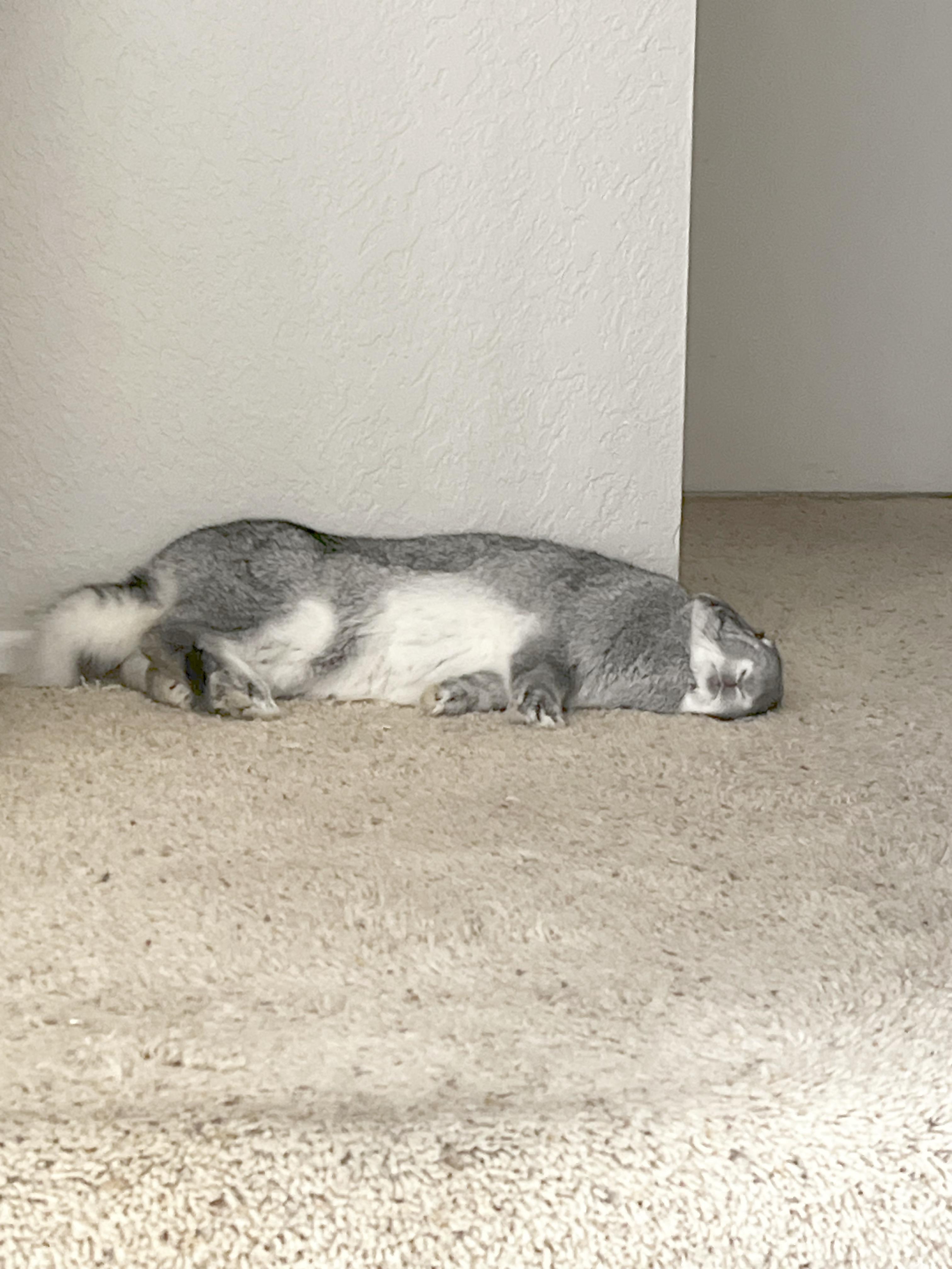 What is this pose called? | Scrolller