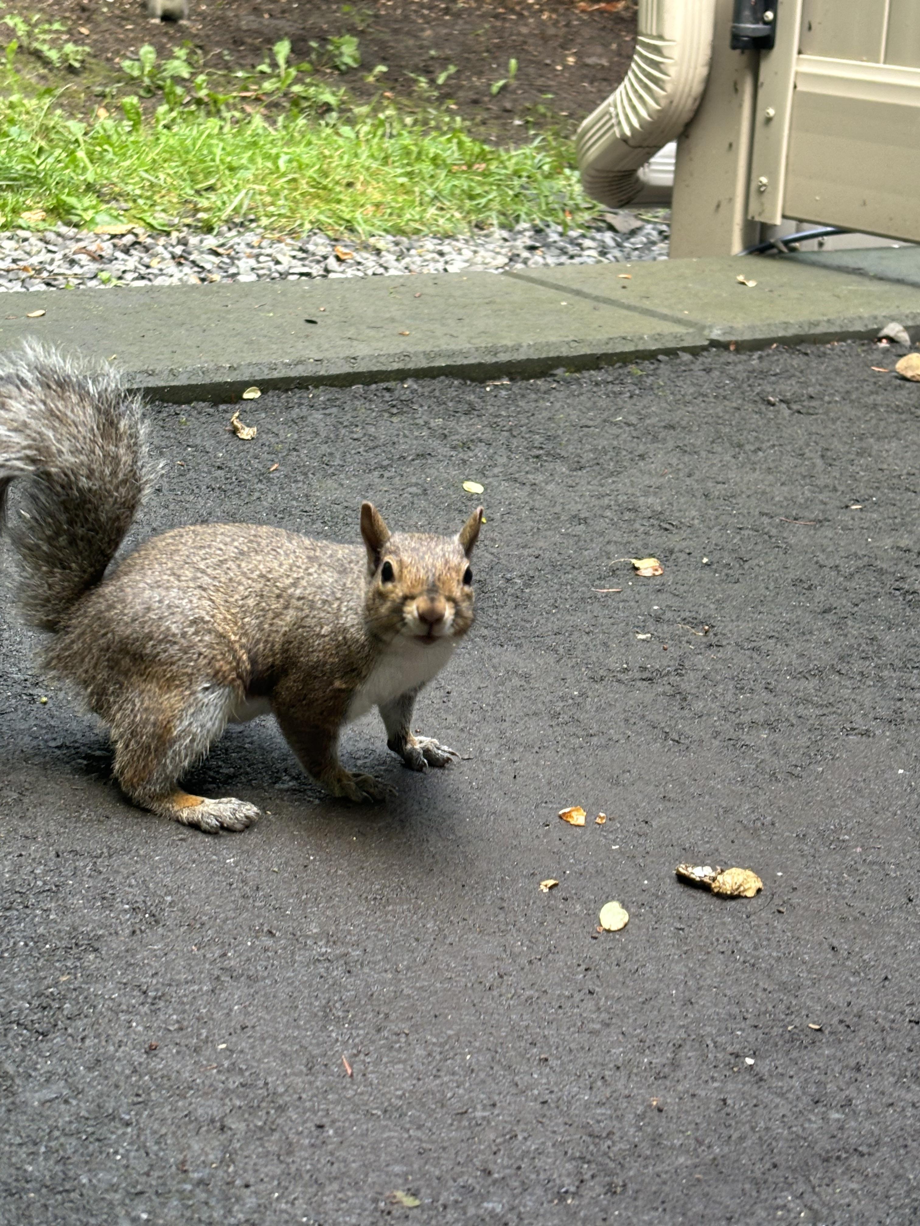 Good morning from these 5 cuties🥰 | Scrolller