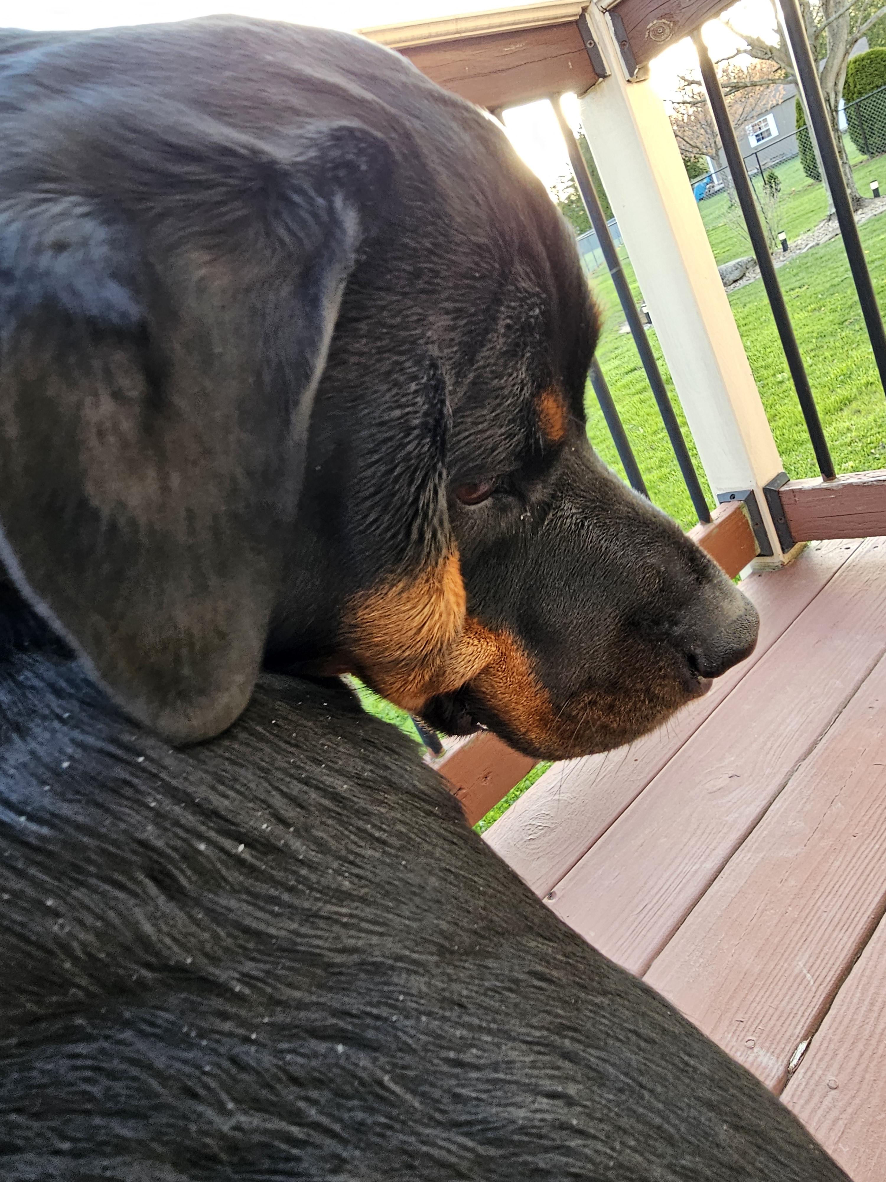 What causes this? | Scrolller